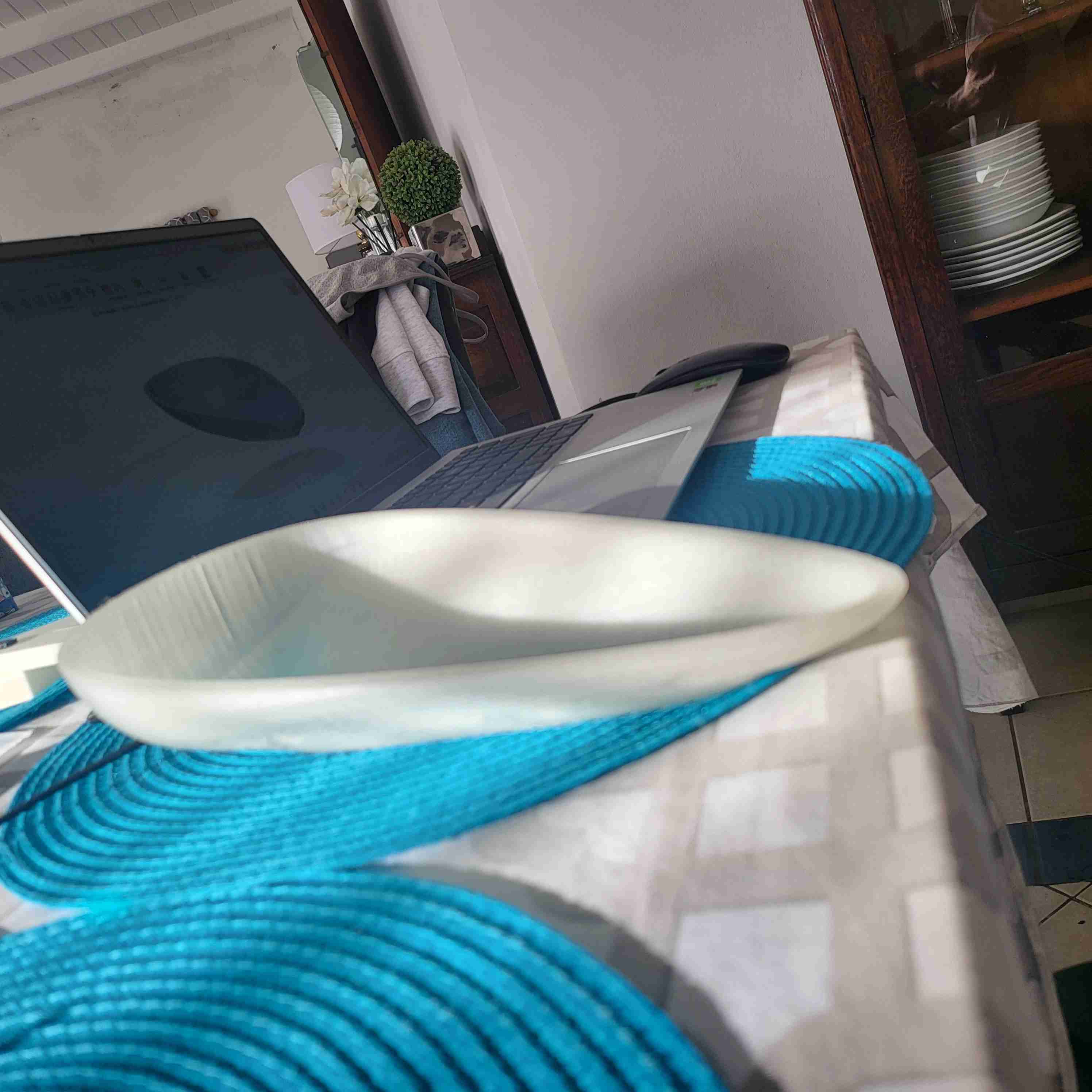 SUNFLOWER SEED HOLDER PIPASS! | 3D models download | Creality Cloud