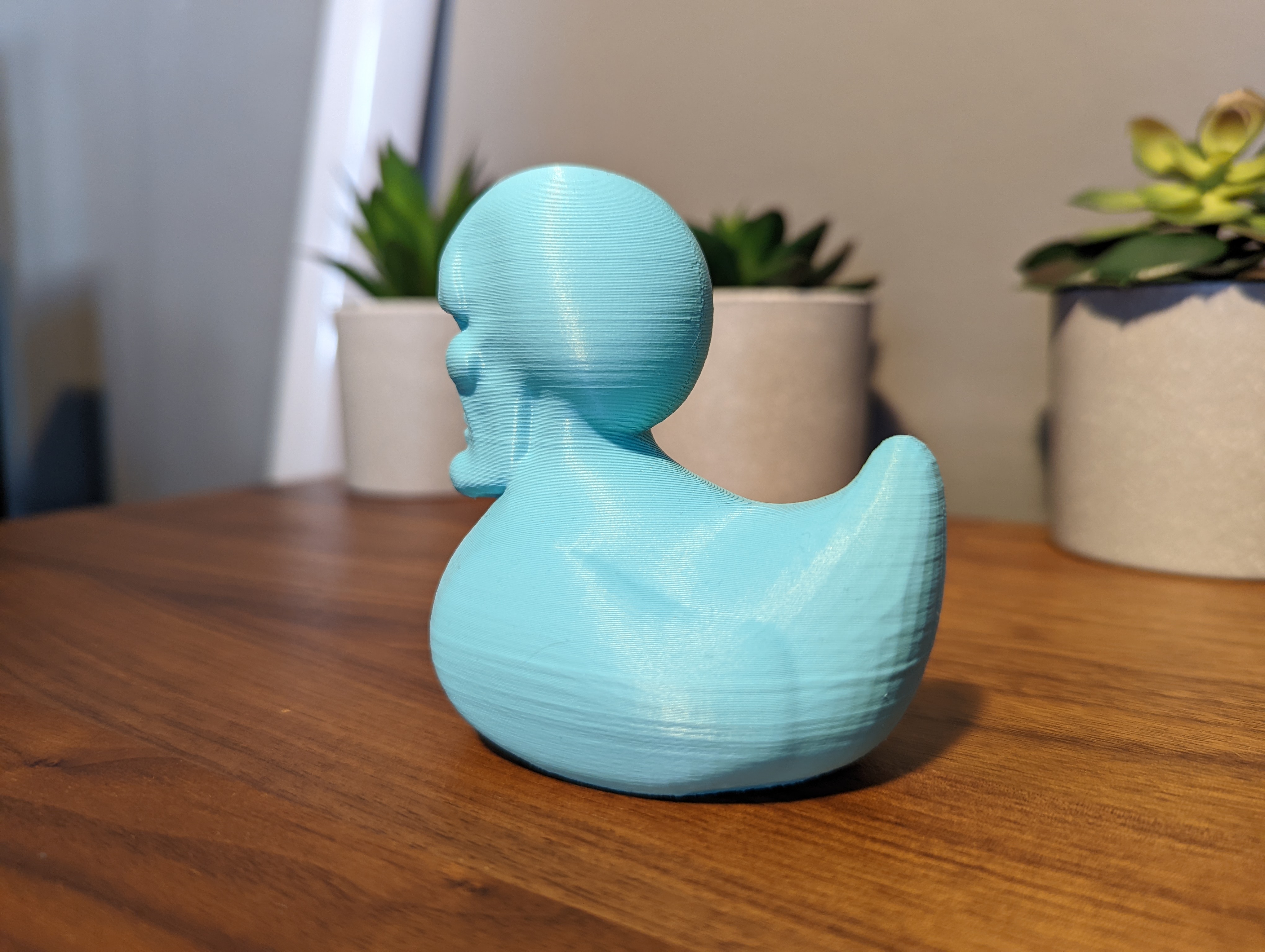 Handsome Duck | 3D models download | Creality Cloud