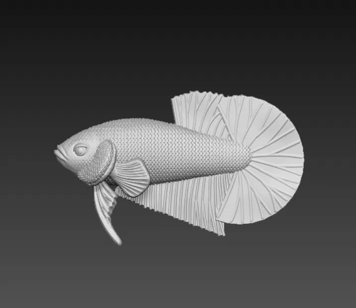 BETTA FISH V3 - READY FOR 3D PRINTING | 3D models download | Creality Cloud