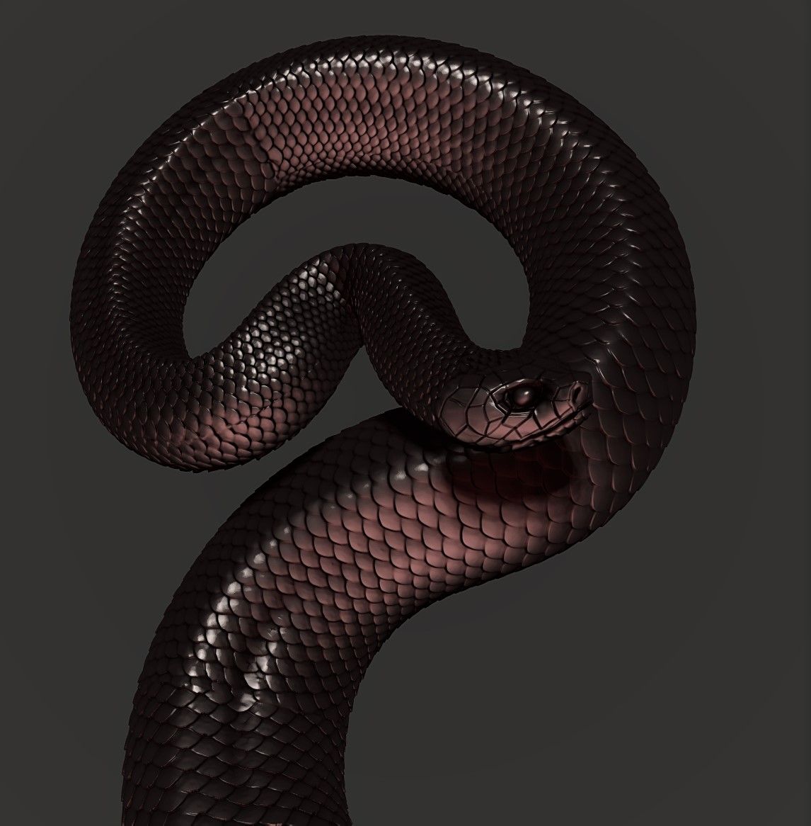 Snake | 3D models download | Creality Cloud
