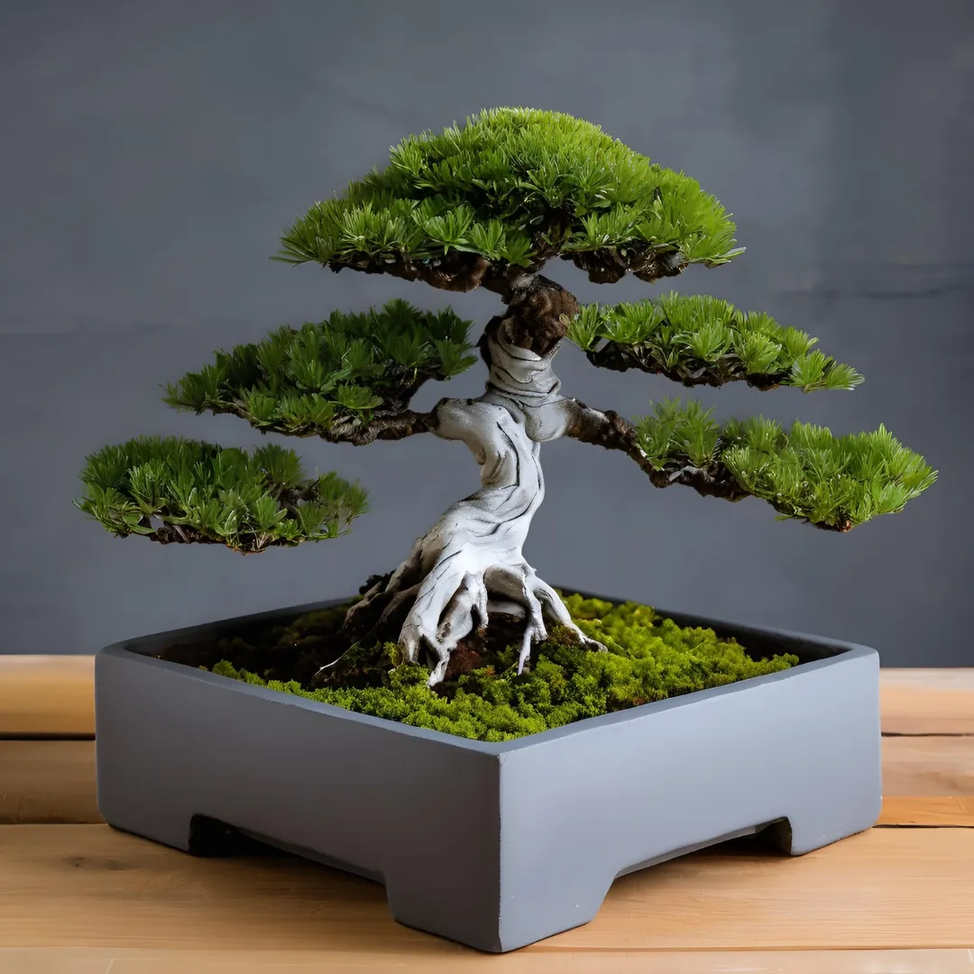 Home Decorations & Ornaments STL Download - Minimalist Square Bonsai ...
