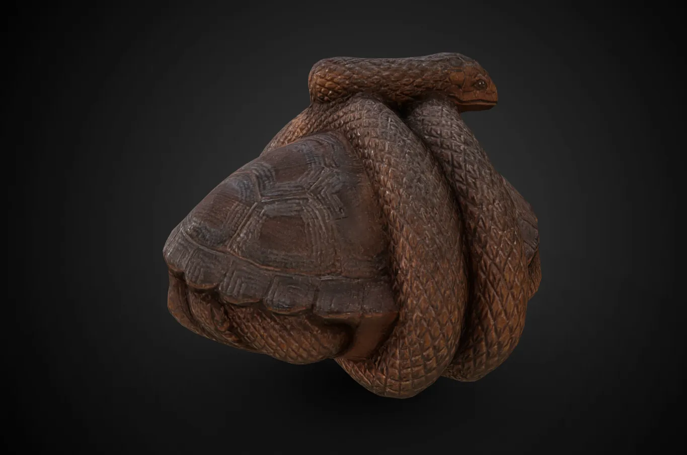 Snake curled around a turtle | 3D models download | Creality Cloud