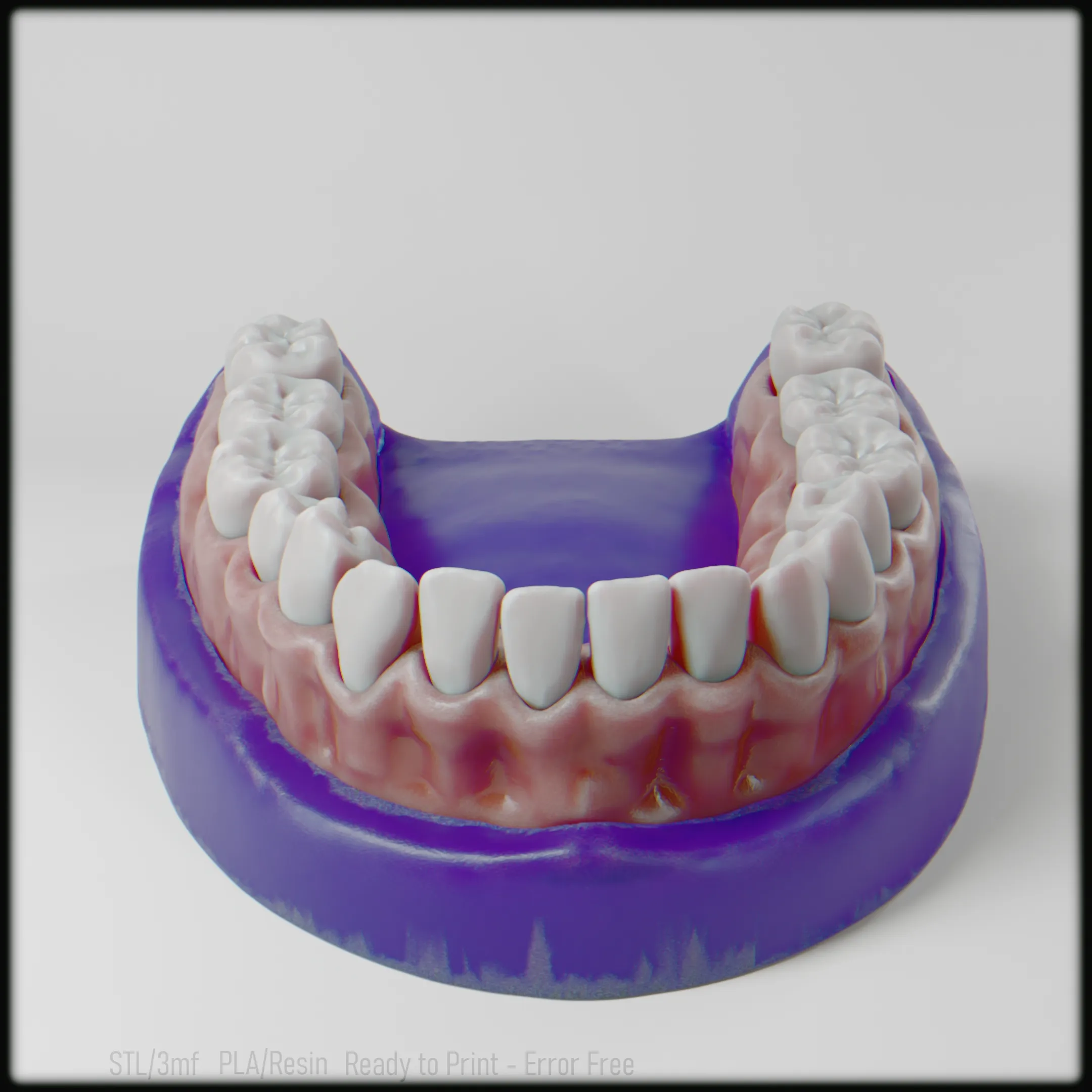 3D Printer Files | 3MF File | Teeth Anatomy Model | Creality Cloud