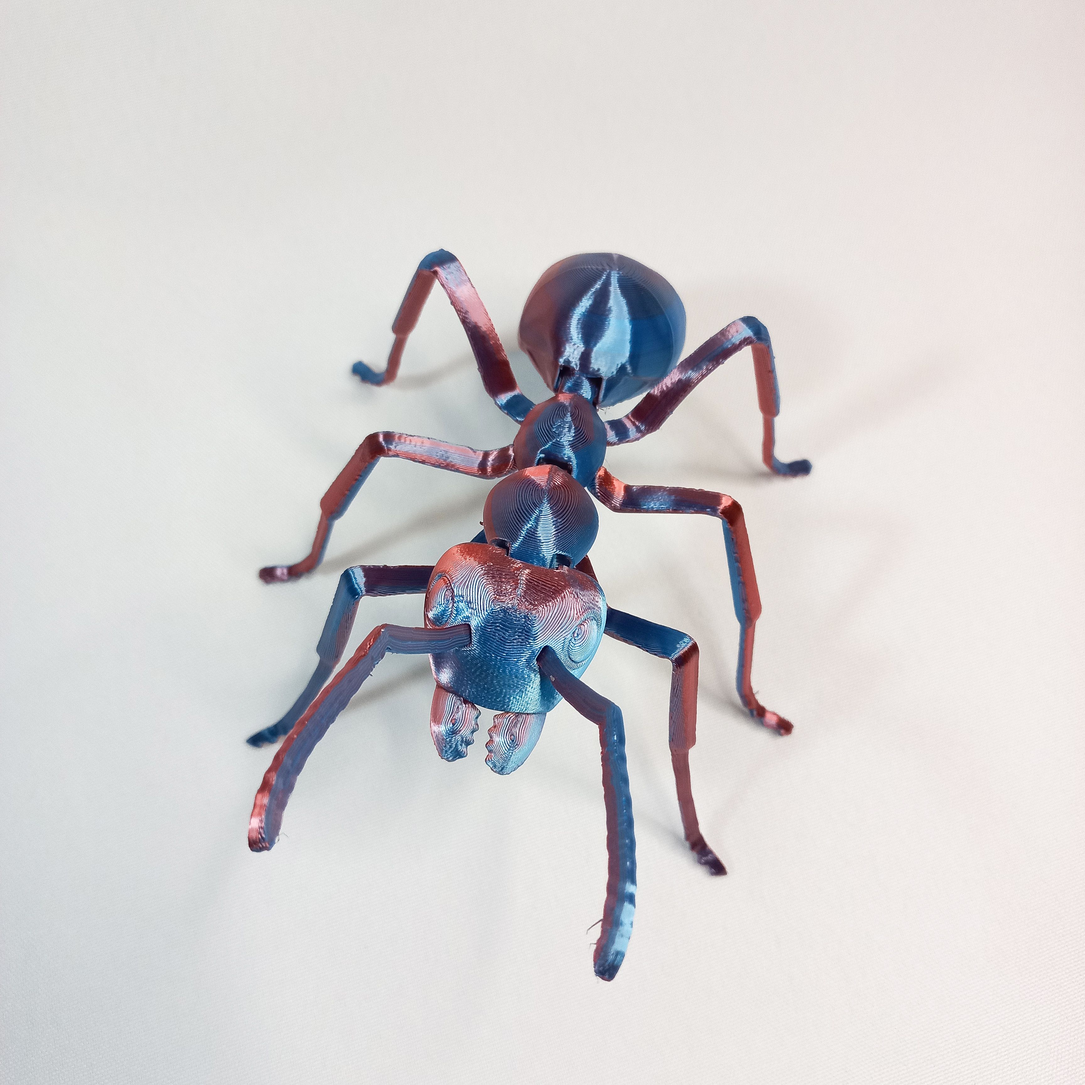 ANT | 3D models download | Creality Cloud