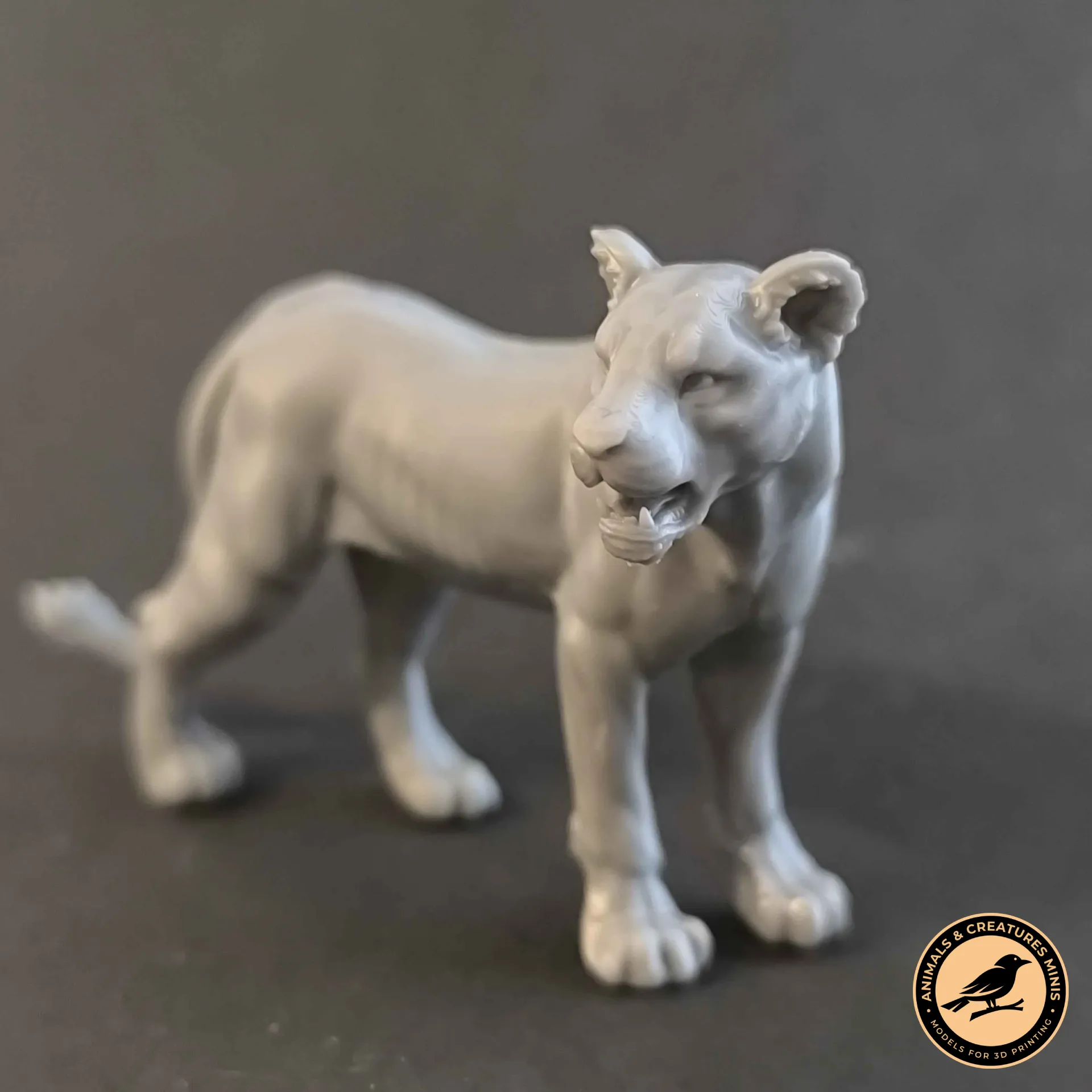 Lioness | 3D models download | Creality Cloud