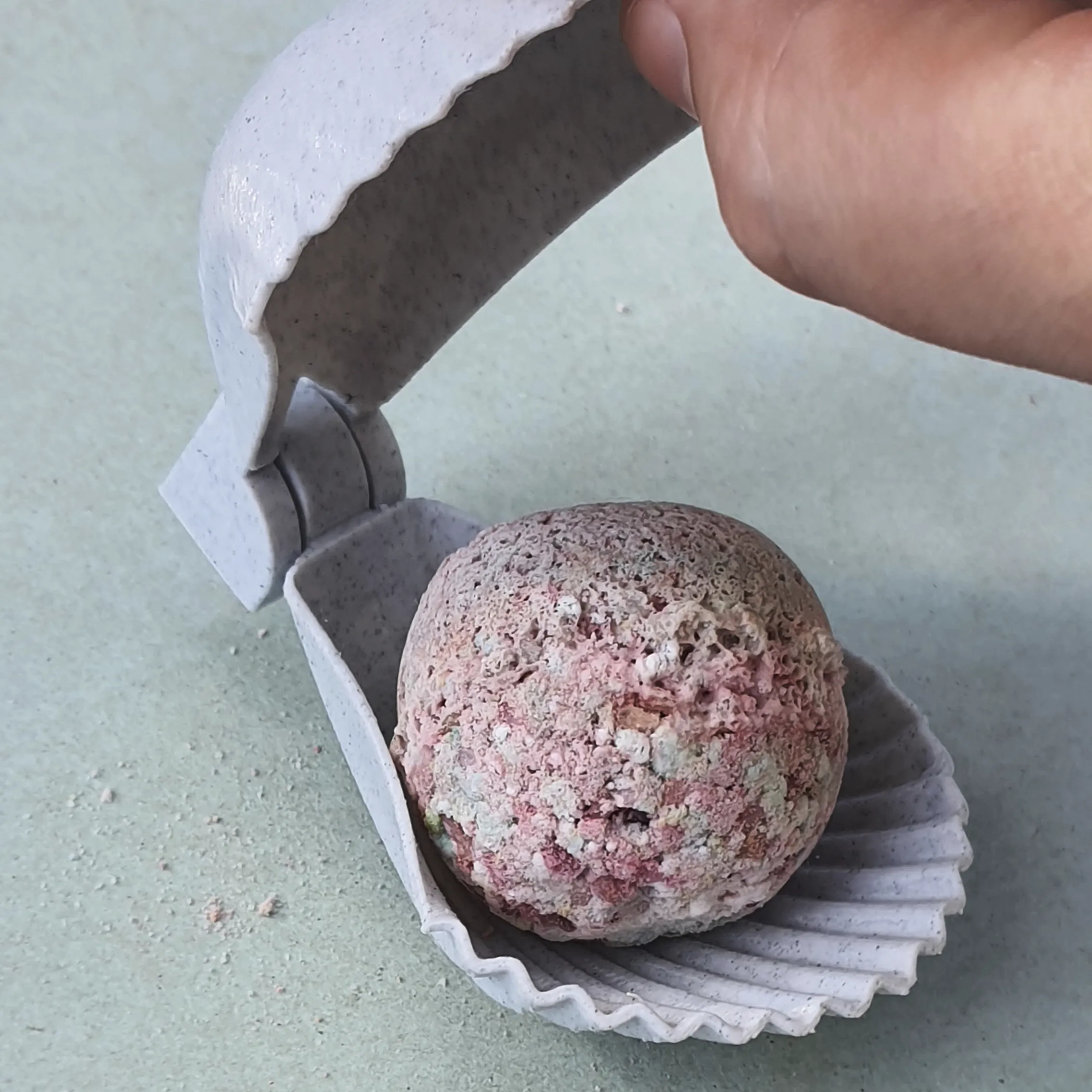 Container for soap bombs in the shape of a sea shell | 3D models ...