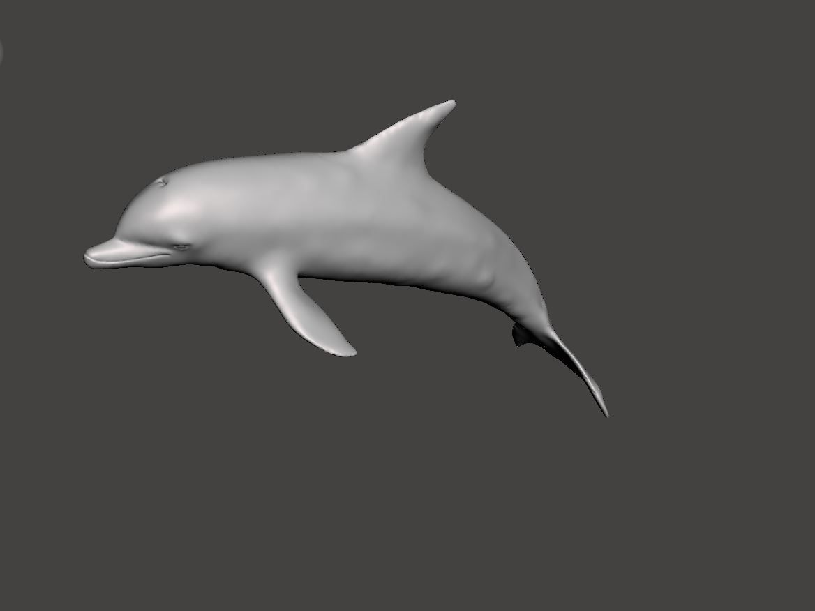 DOLPHIN 3D MODEL | 3D models download | Creality Cloud