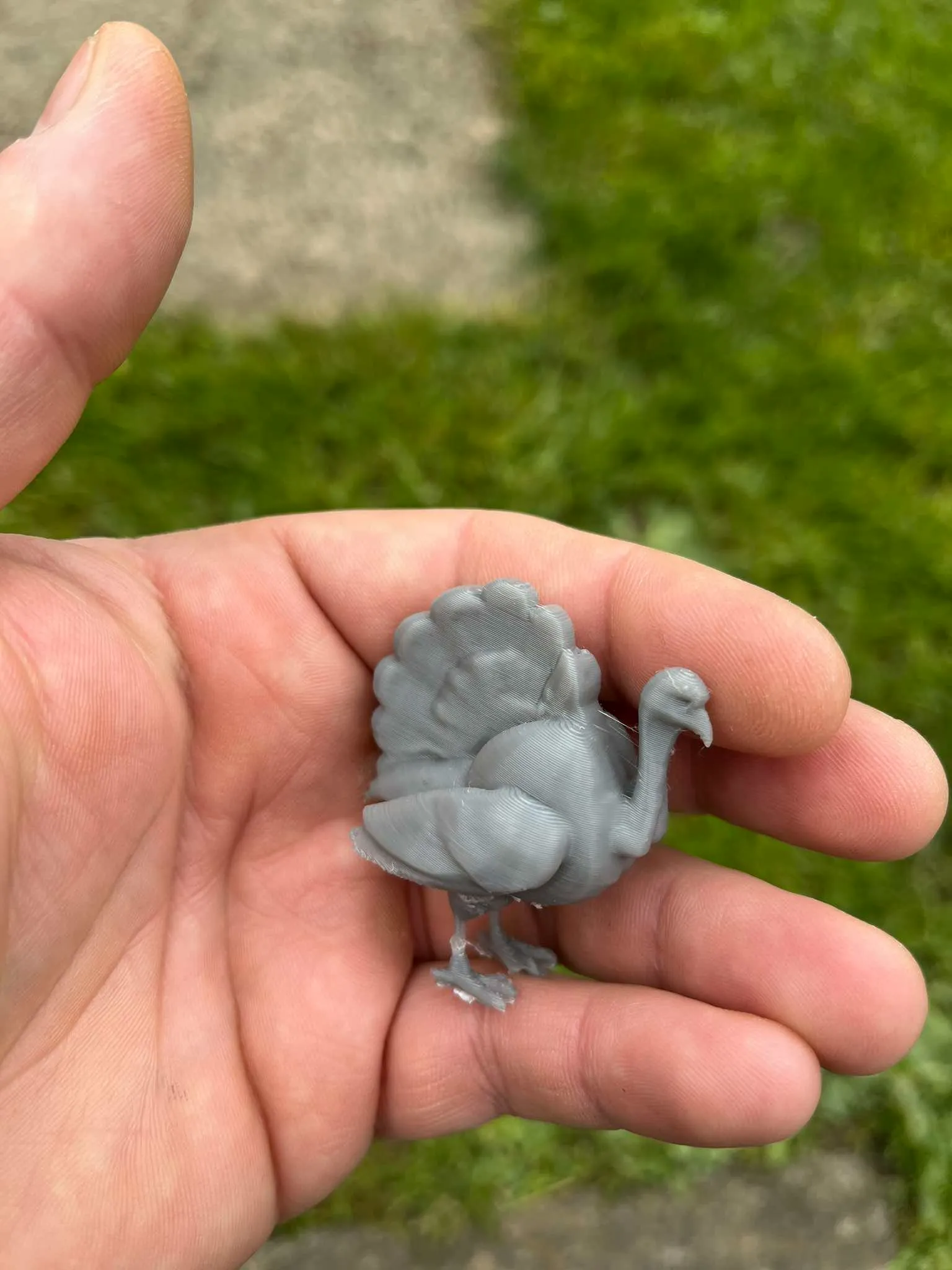 Turkey and Christmas Turkeys | 3D models download | Creality Cloud