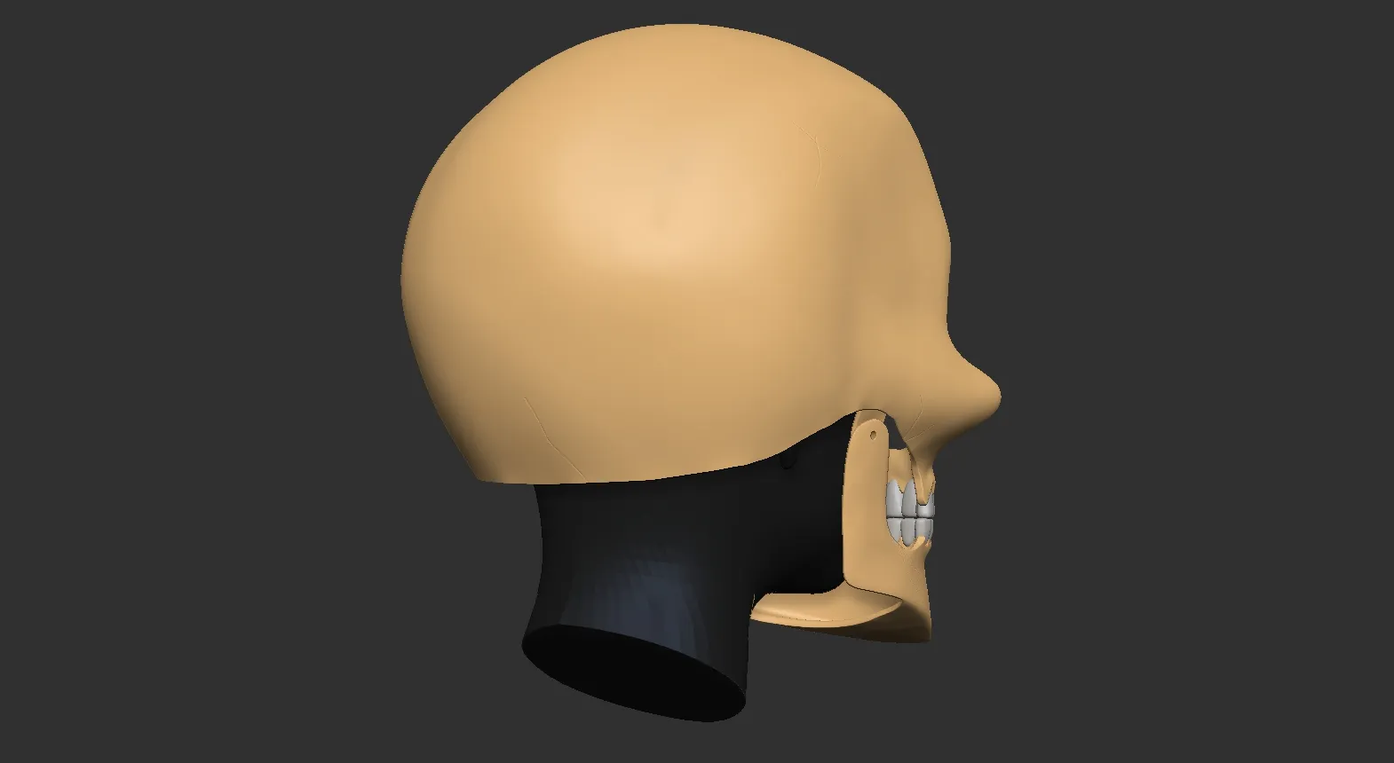 Skull Helmet | 3D models download | Creality Cloud