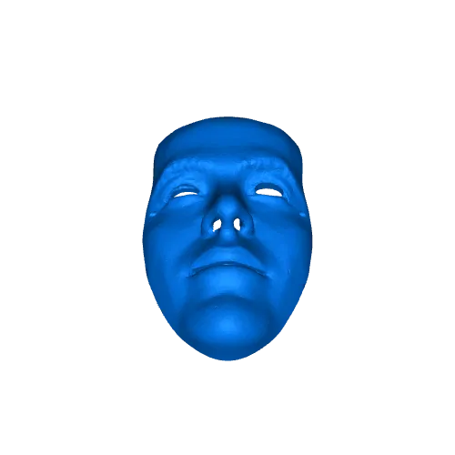 blank mask | 3D models download | Creality Cloud