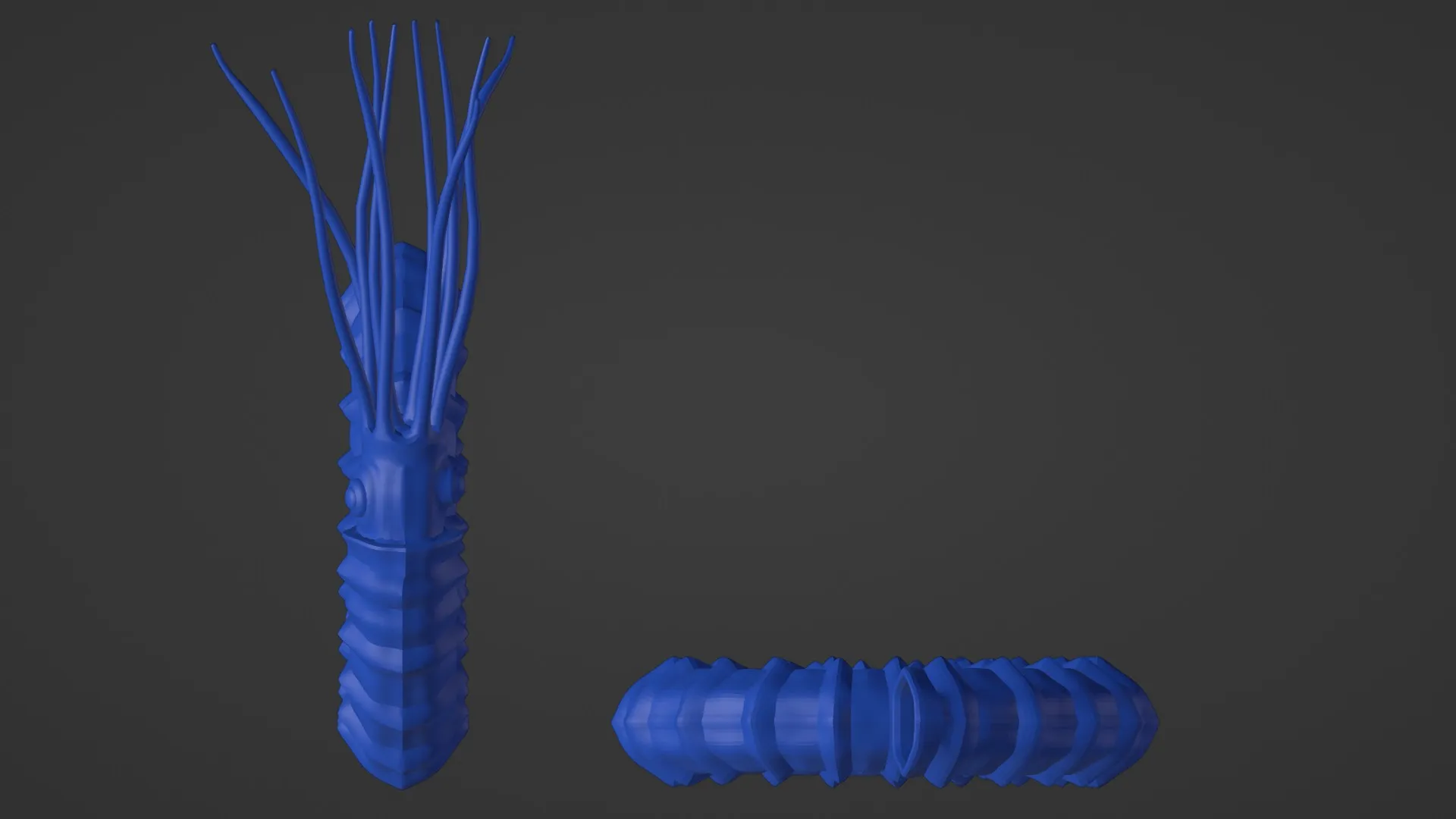 Characters & Creatures STL Download - Ammonite - Ammonoids printby arti4077