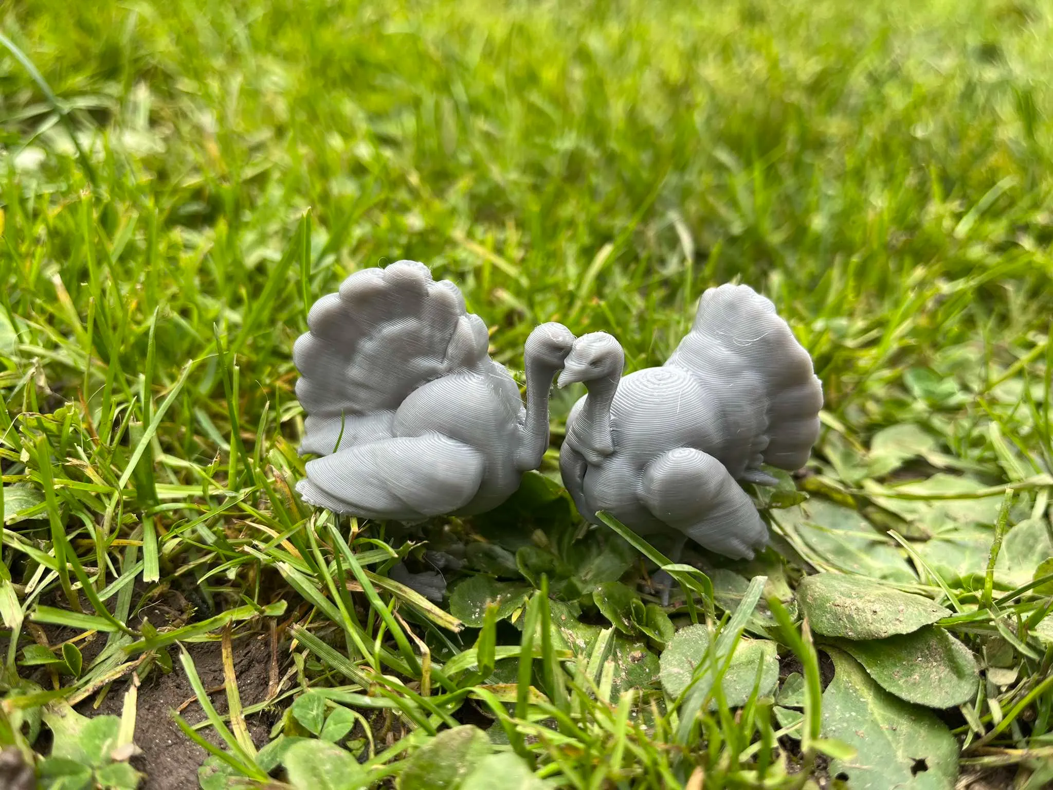 Turkey and Christmas Turkeys | 3D models download | Creality Cloud