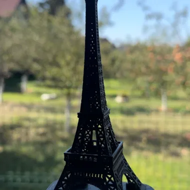 Hi ! I present to you my print of "Eiffel tower" by "Dariusz F ...