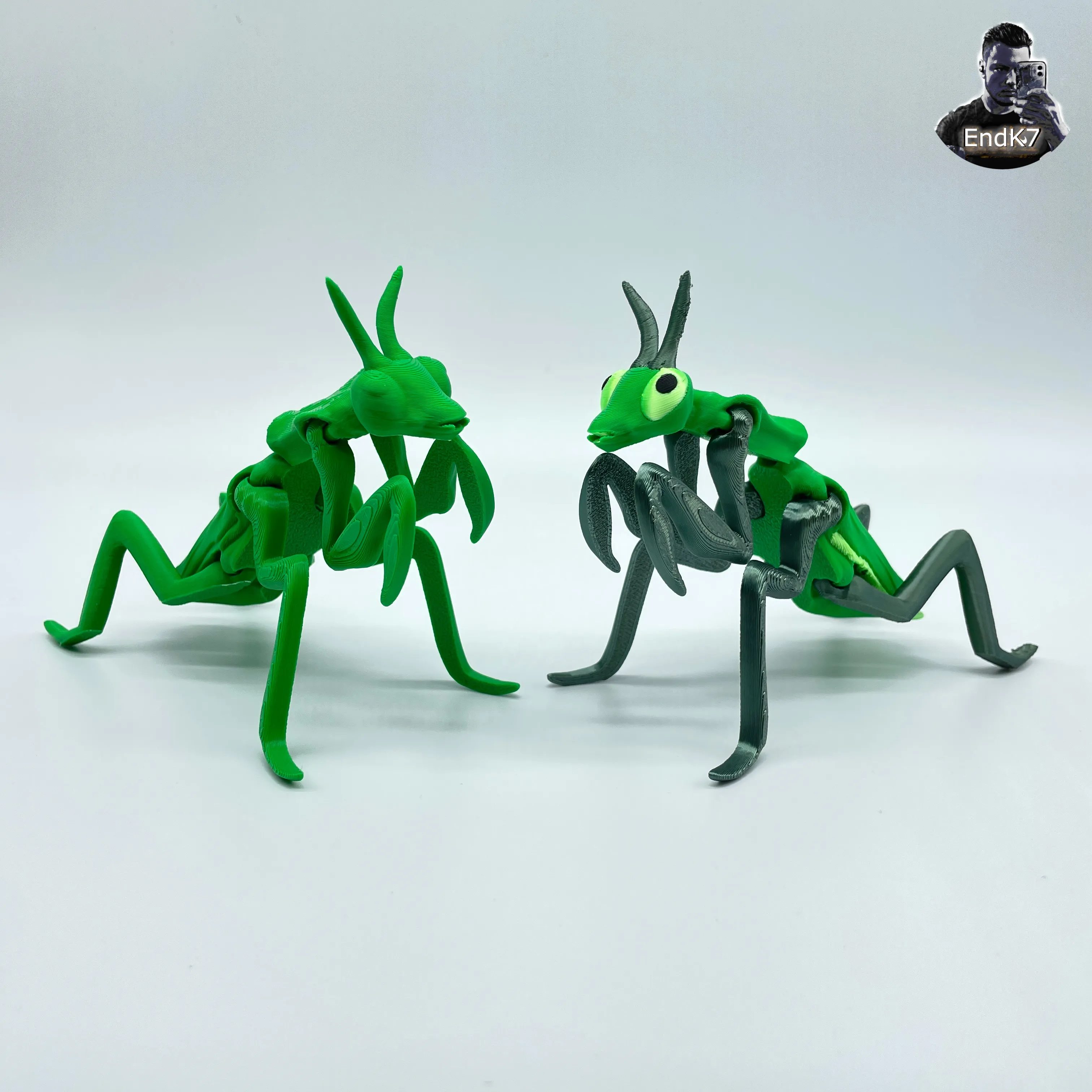 Other STL Download - Articulated Mantis - Print in Place - Flexible ...