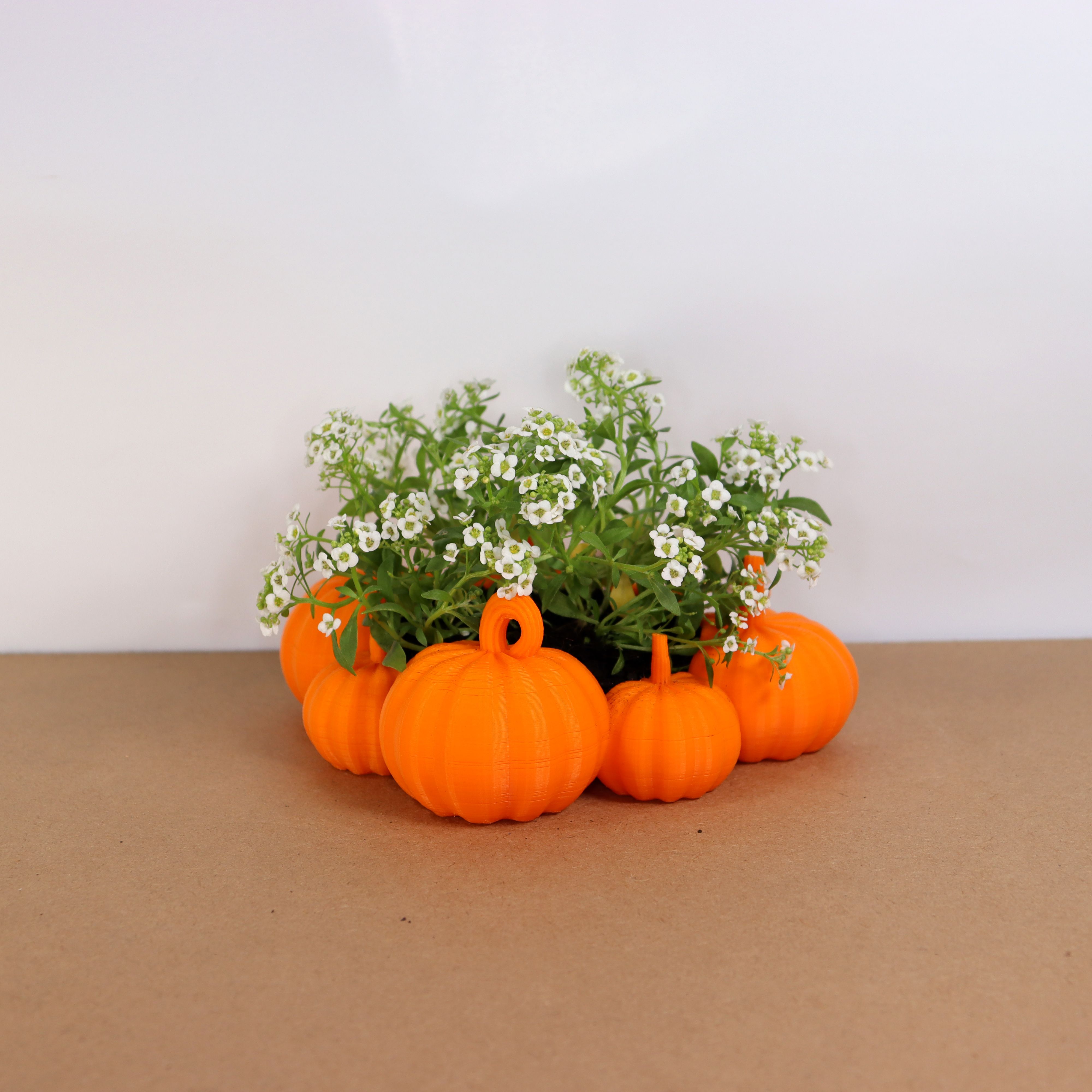 Pumpkin patch planter | 3D models download | Creality Cloud