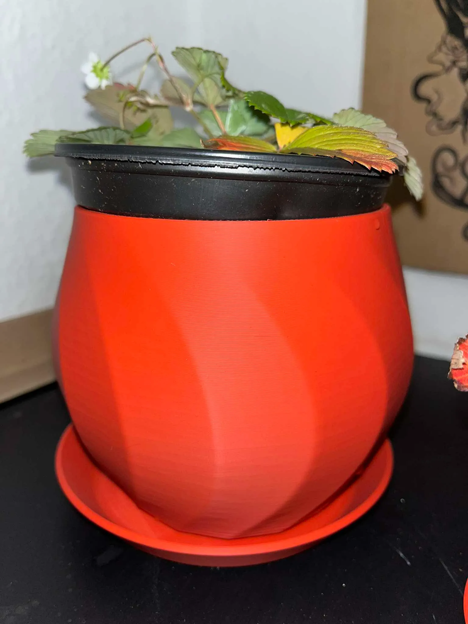 3D Printer Files | 3MF File | A flower pot with a saucer | Creality Cloud