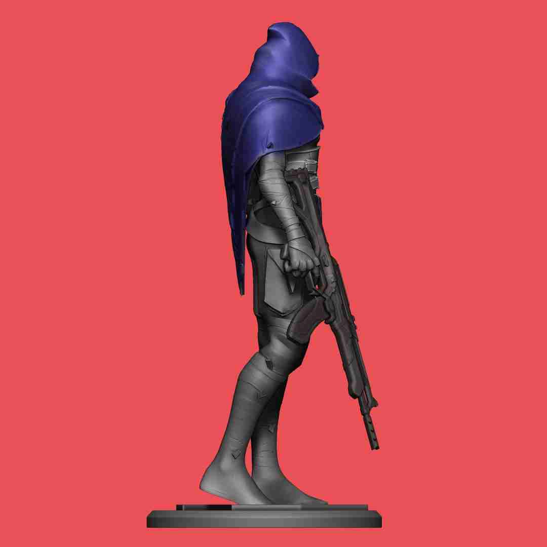 OMEN FROM VALORANT | 3D models download | Creality Cloud