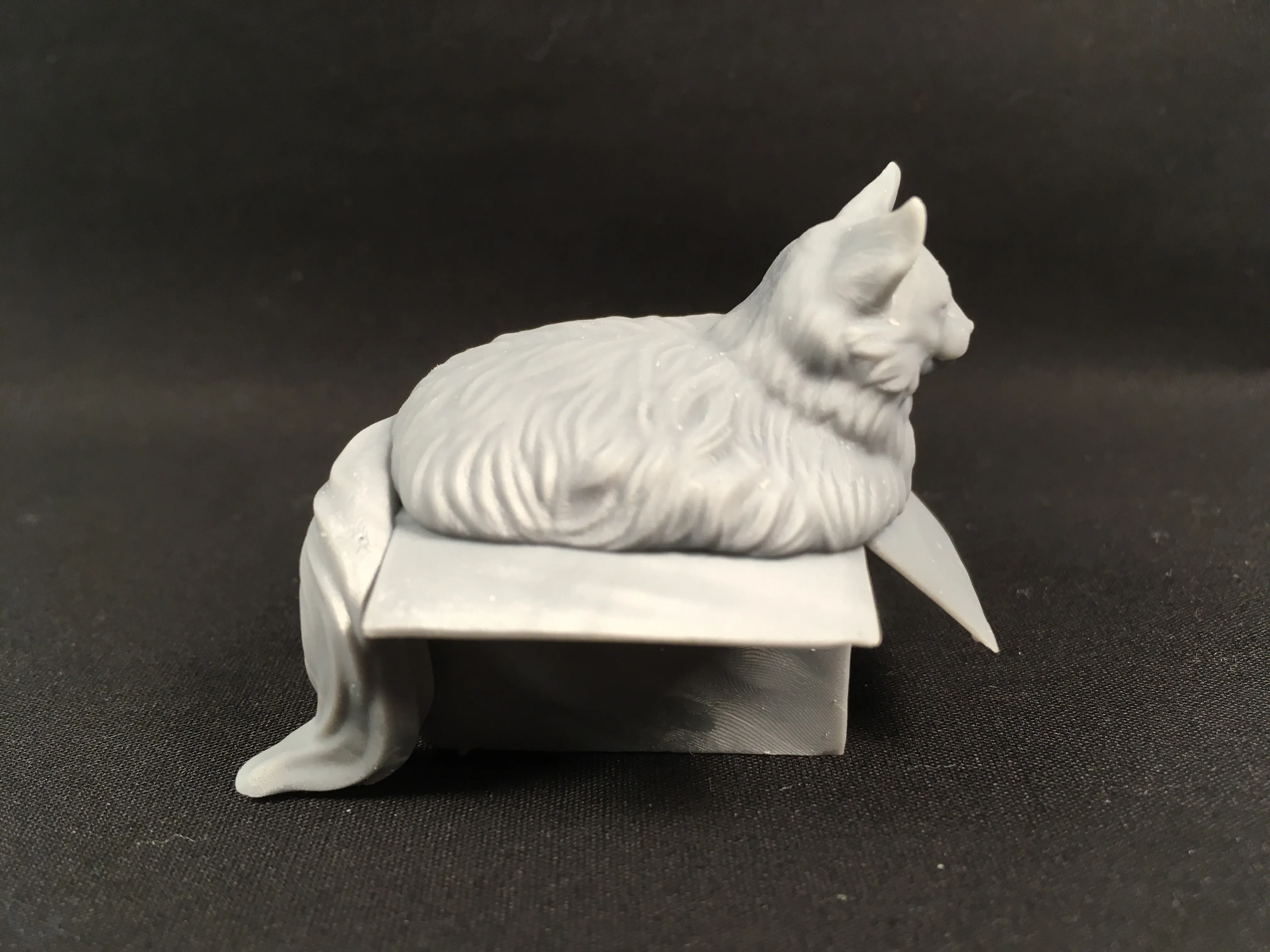 Fat cat in box | 3D models download | Creality Cloud