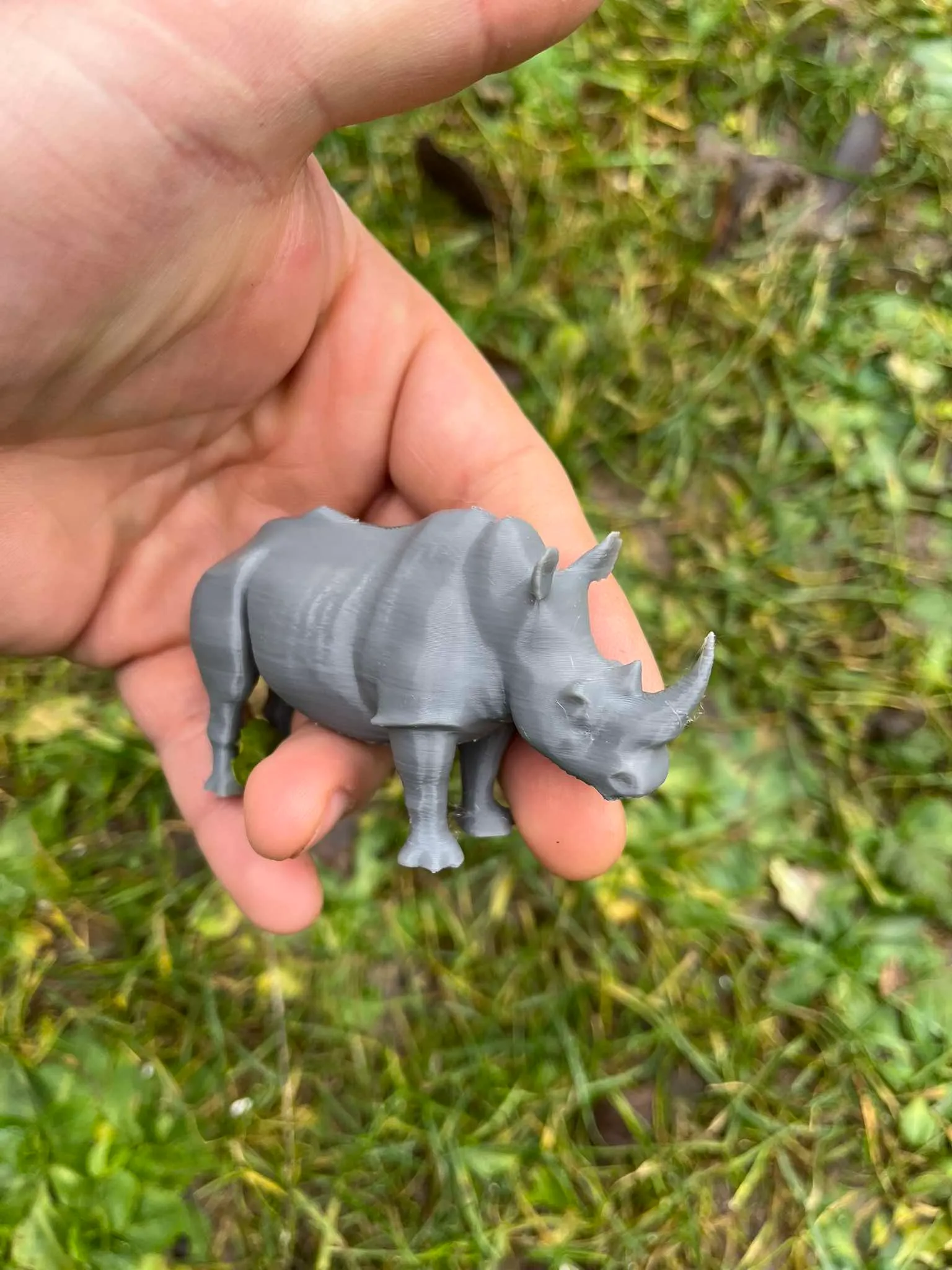 Rhinoceros family | 3D models download | Creality Cloud