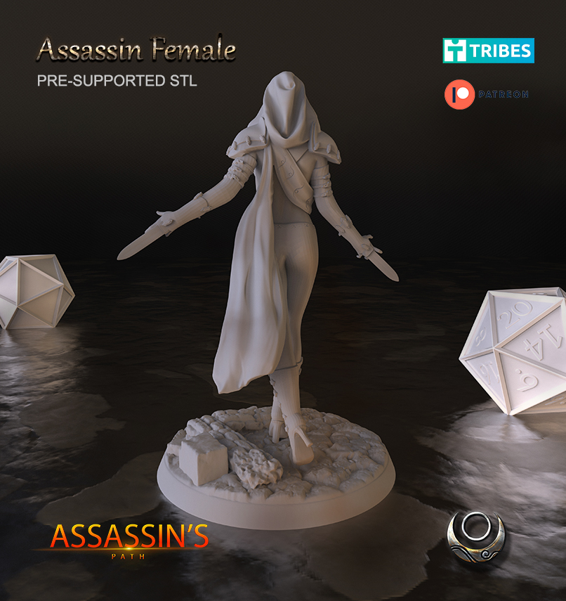 Assassin Female | 3D models download | Creality Cloud