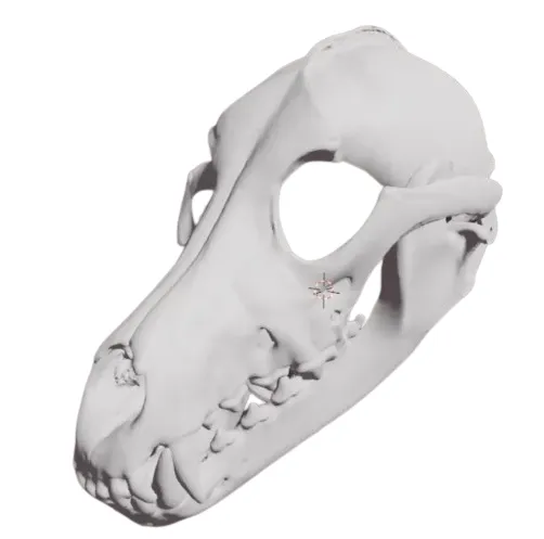 Board Games & Card Games STL Download - Grey Wolf Skull Mask 3D Model STL Fileby Togepi 3D Artist