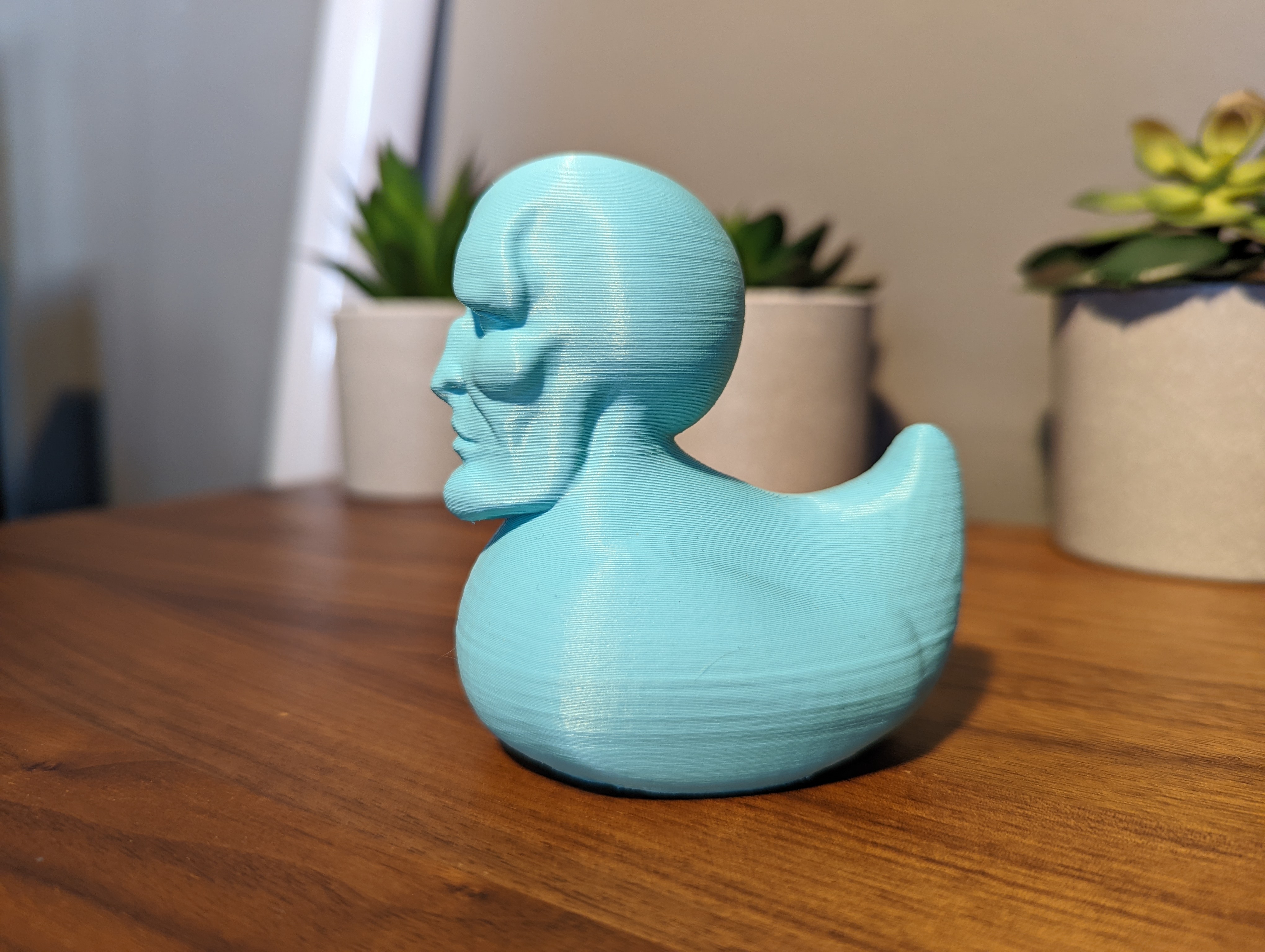 Handsome Duck | 3D models download | Creality Cloud