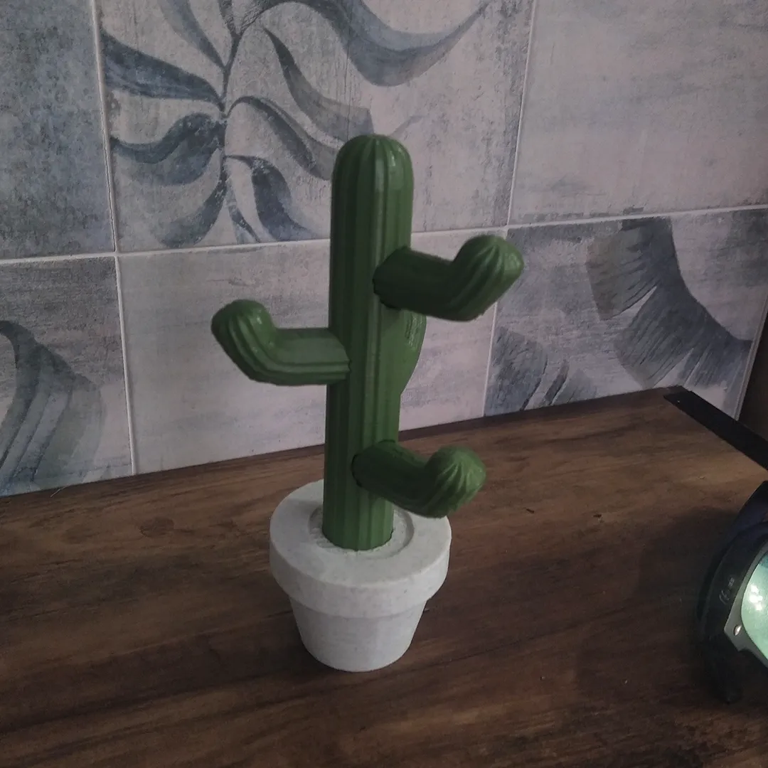 Free Home Decorations & Ornaments STL Download - Cactus for keysby Abe ...
