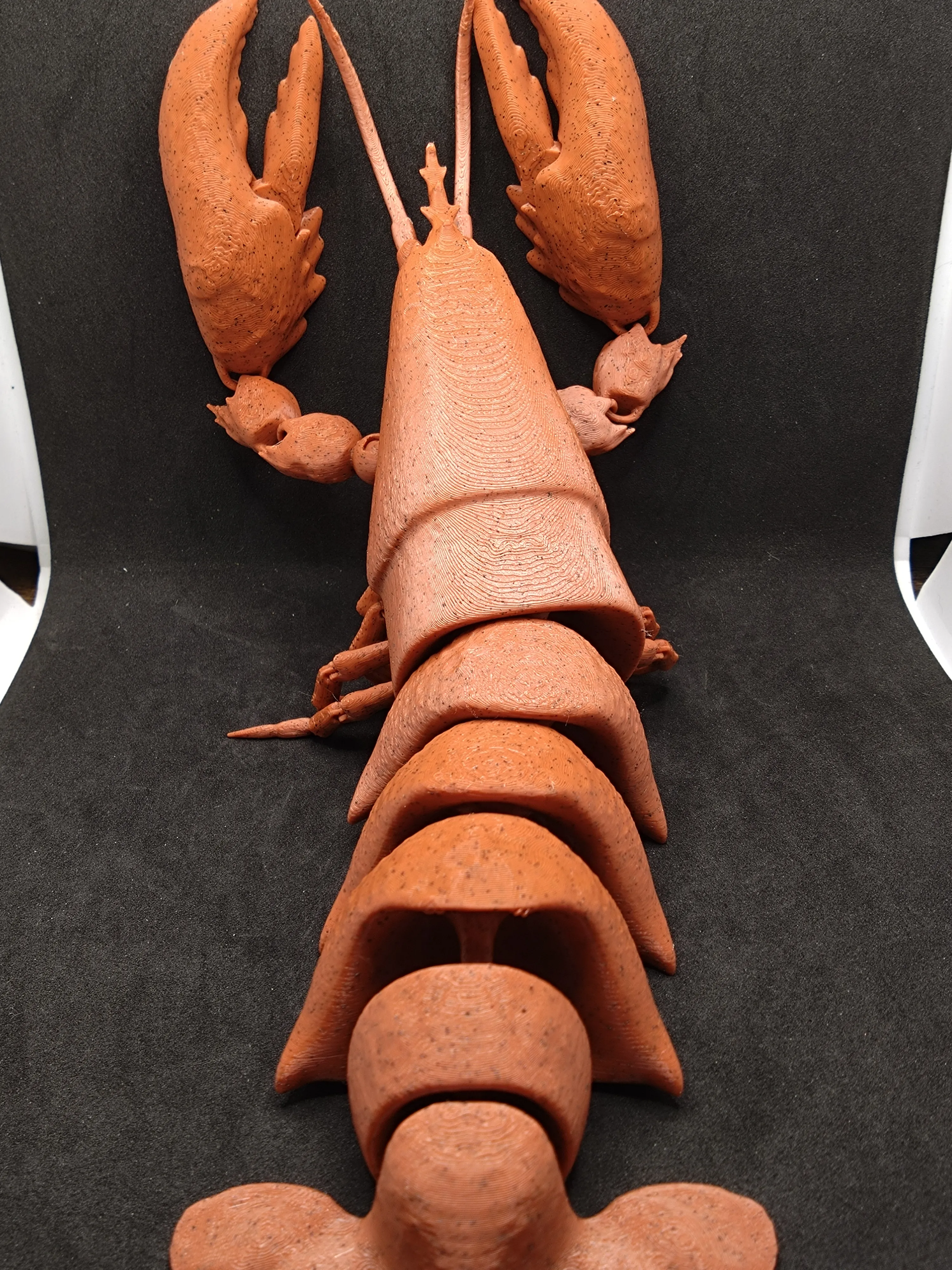 3D Printer Files | 3MF File | [EXCLUSIVE] The Lobster Toy Creation Kit ...