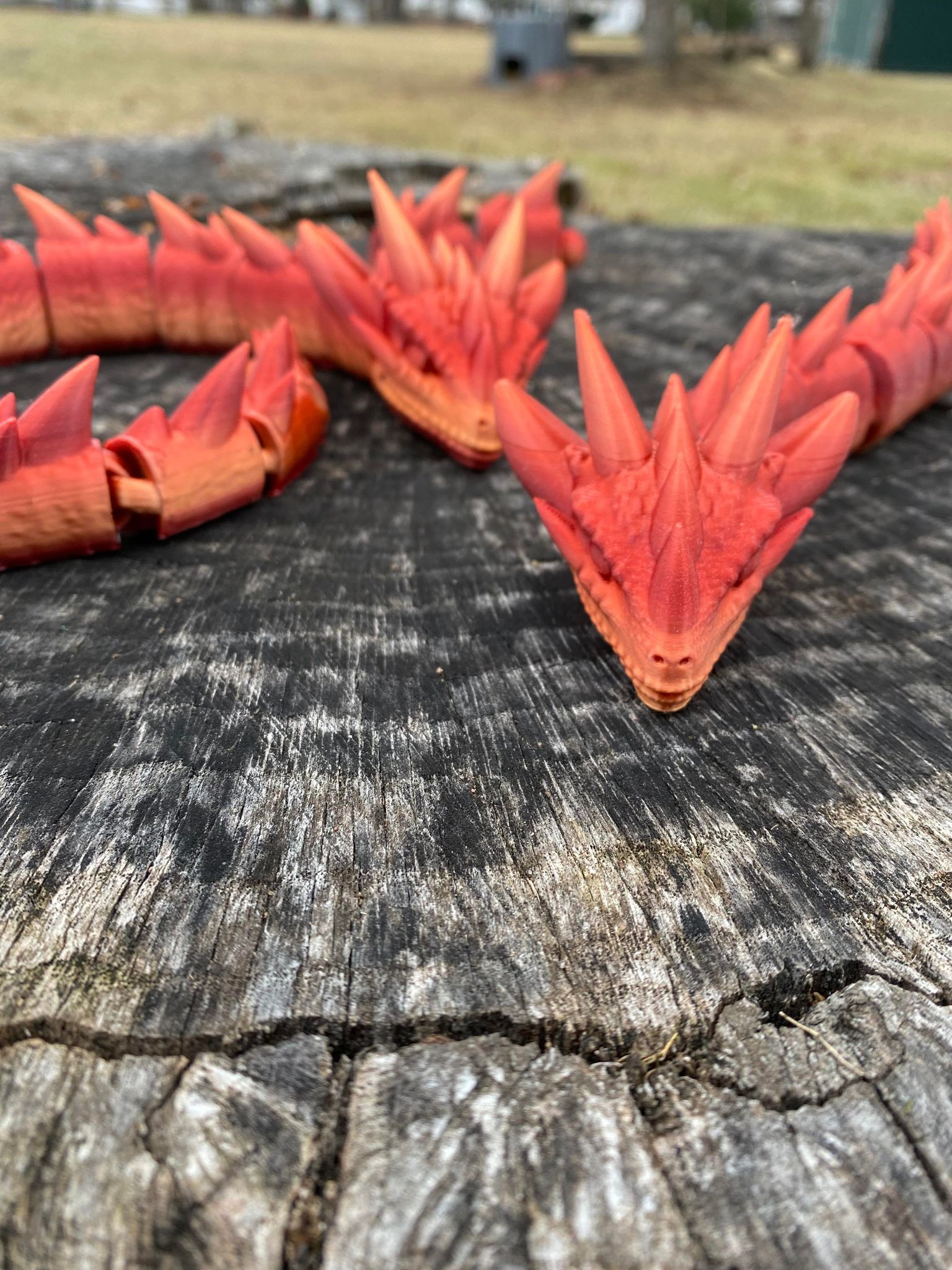Adalinda (The Snake Dragon) | 3D models download | Creality Cloud