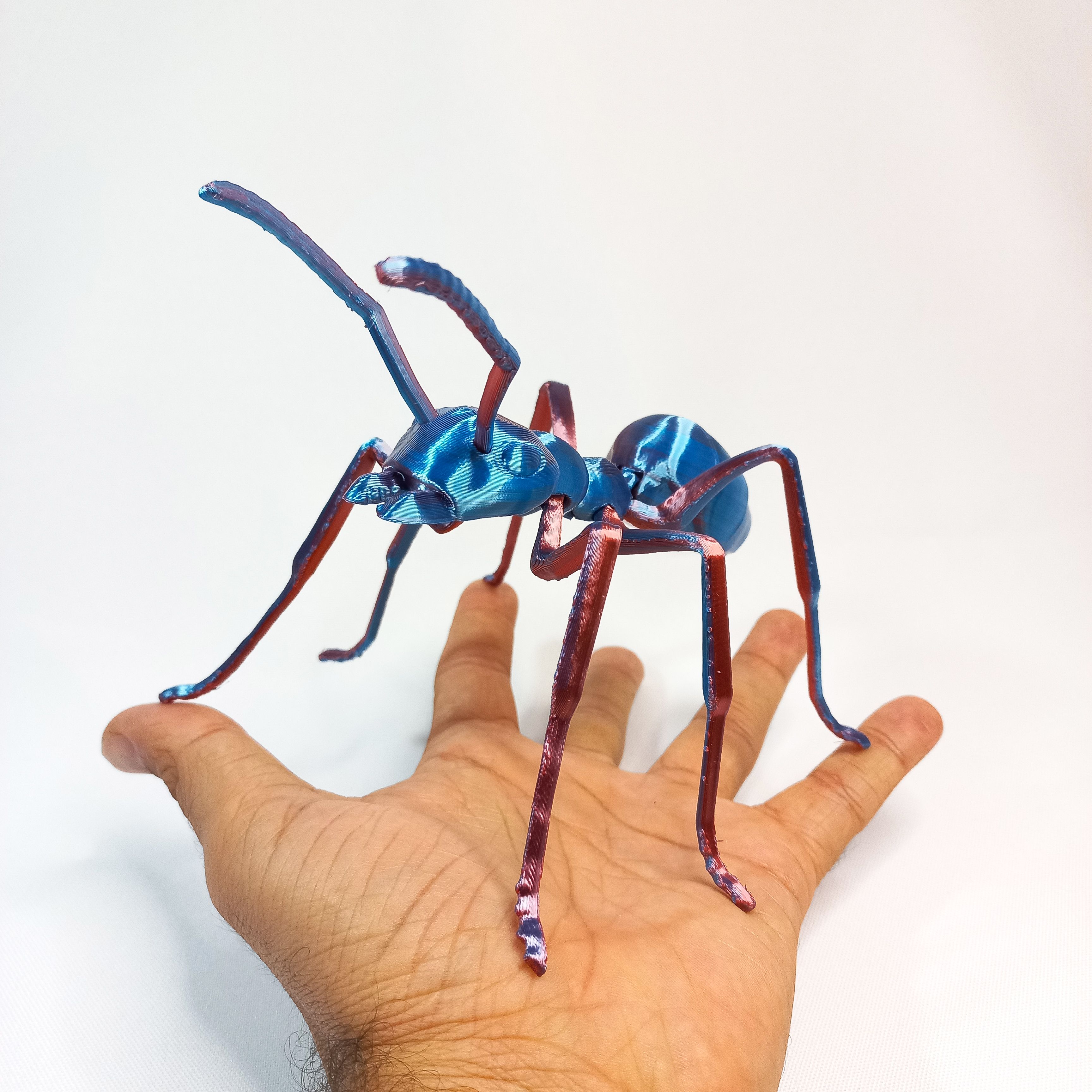 ANT | 3D models download | Creality Cloud