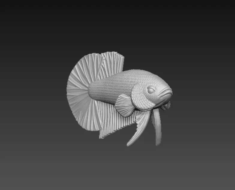 BETTA FISH V3 - READY FOR 3D PRINTING | 3D models download | Creality Cloud