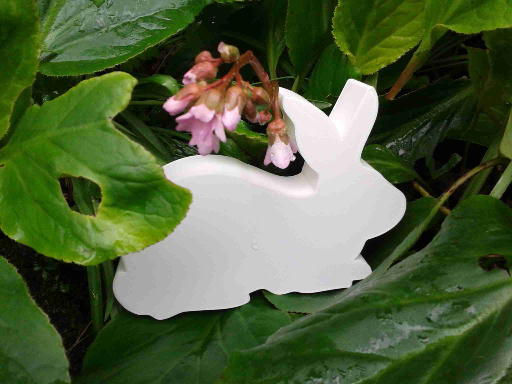 Rabbit 002A, nestable box (v2) | 3D models download | Creality Cloud