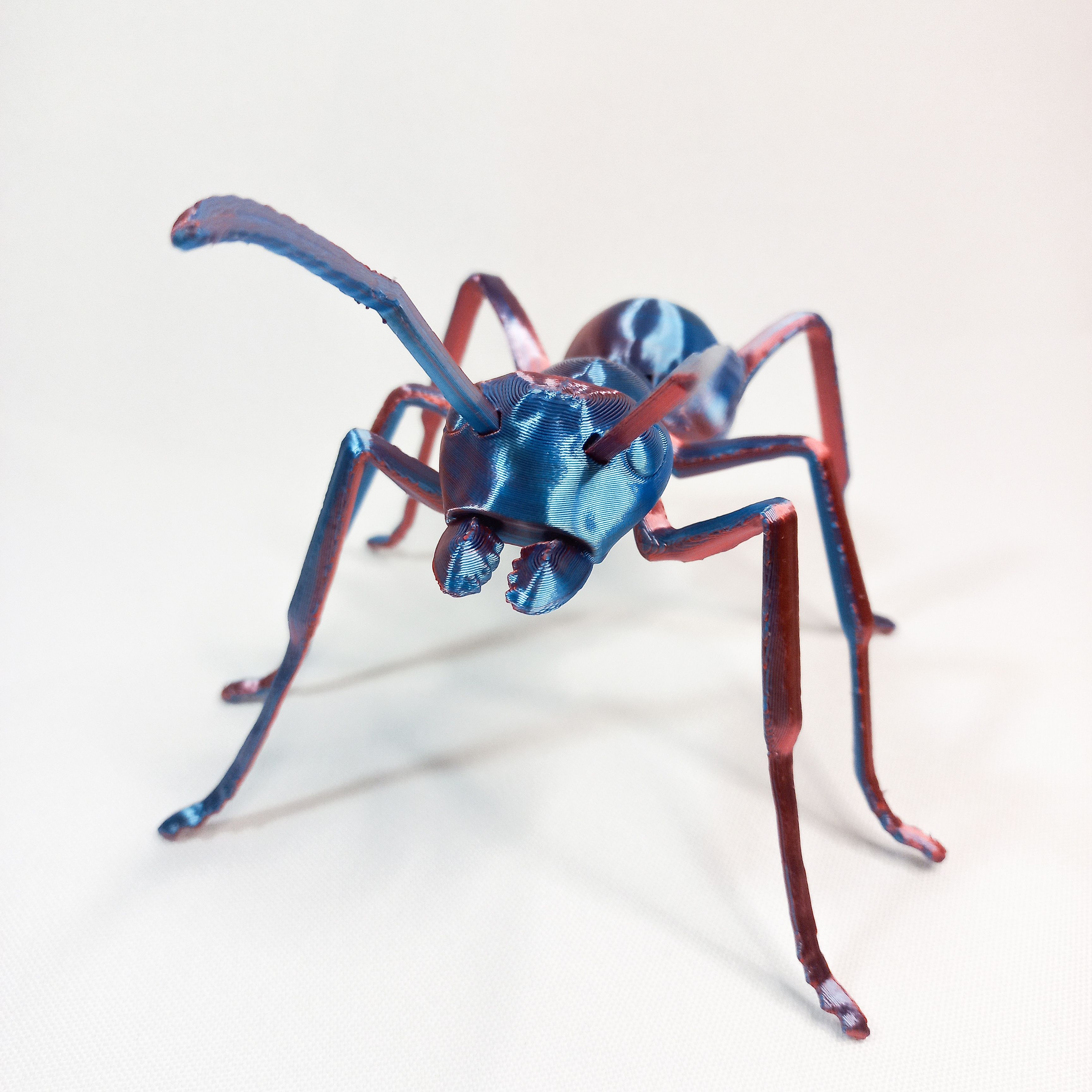 ANT | 3D models download | Creality Cloud