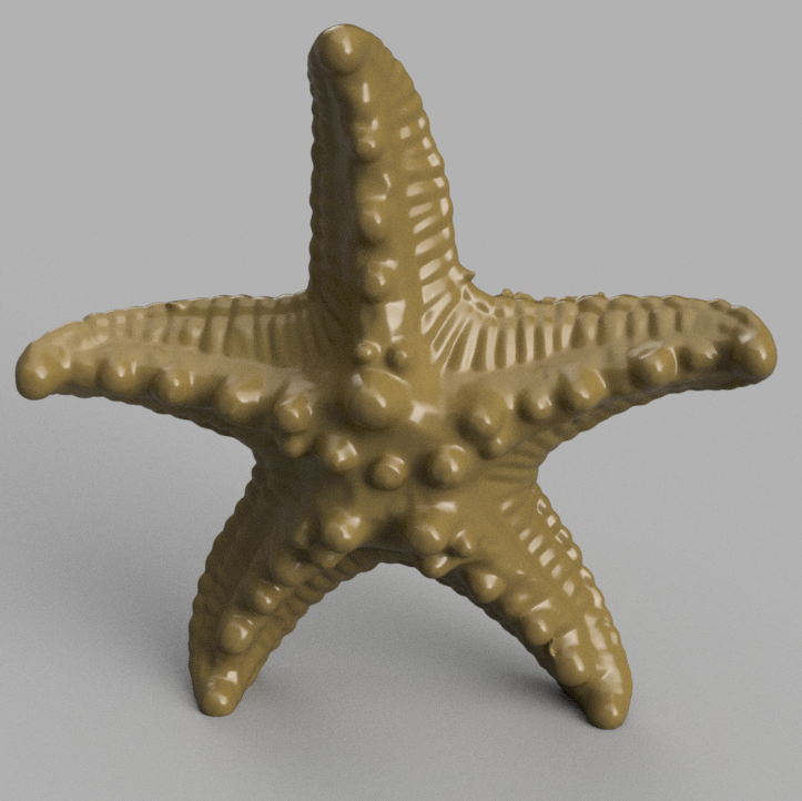Starfish | 3D models download | Creality Cloud