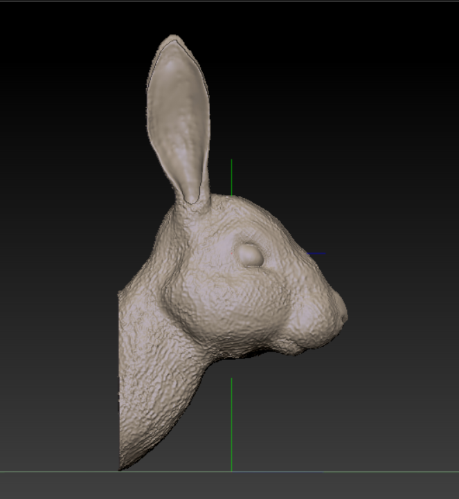 RABBIT HEAD | 3D models download | Creality Cloud