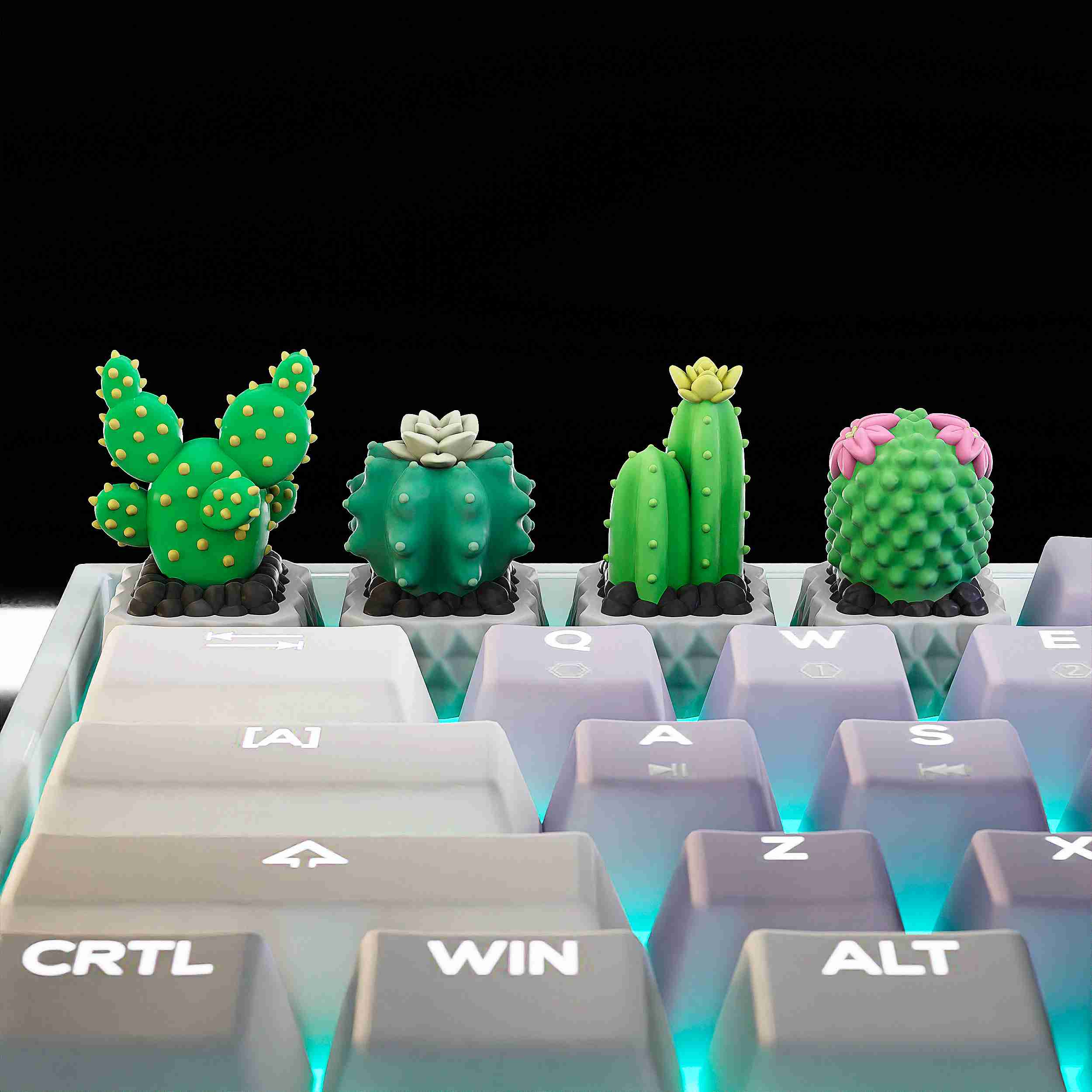 Cactus keycaps - Mechanical Keyboard | 3D models download | Creality Cloud