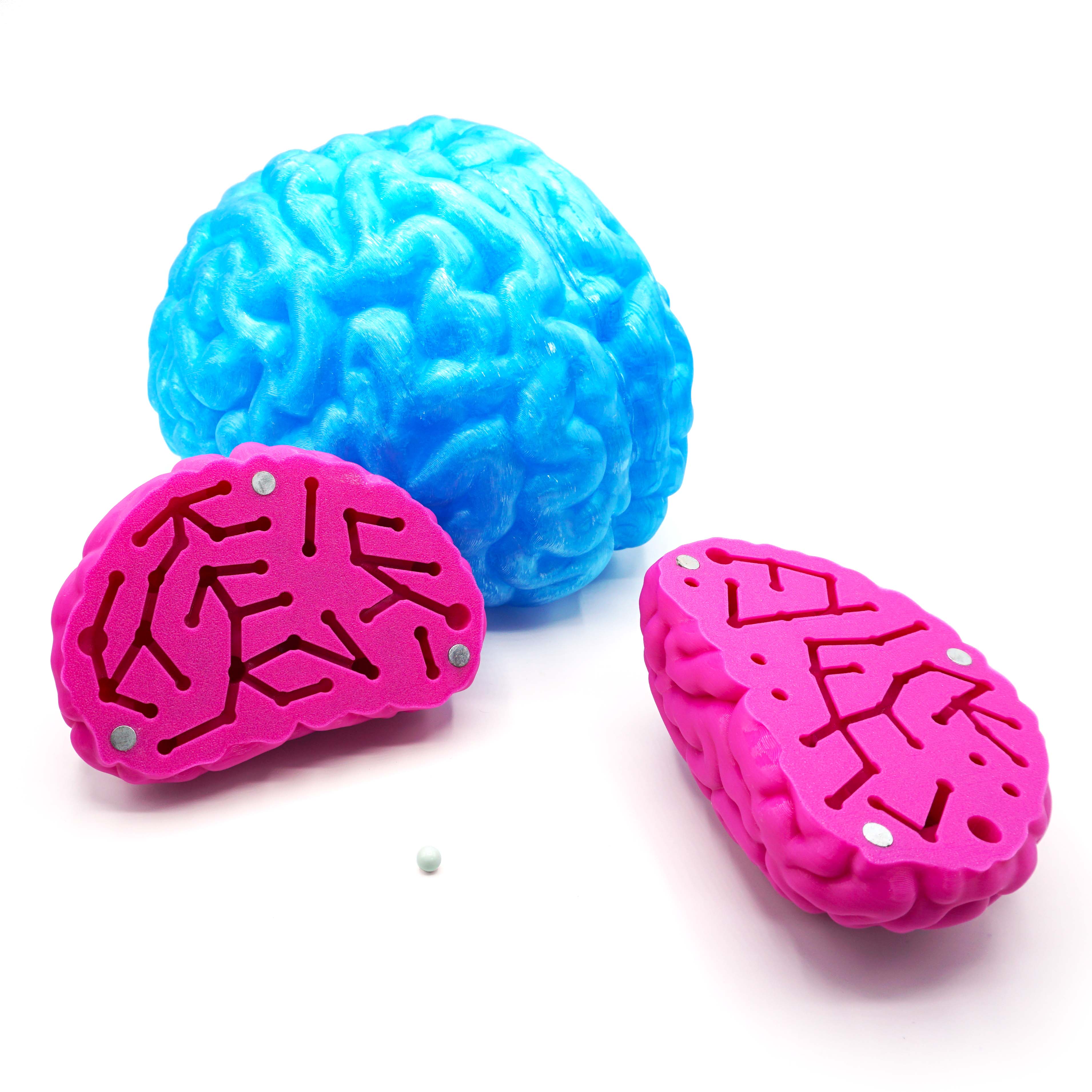 Brain Constellation Maze | 3D models download | Creality Cloud