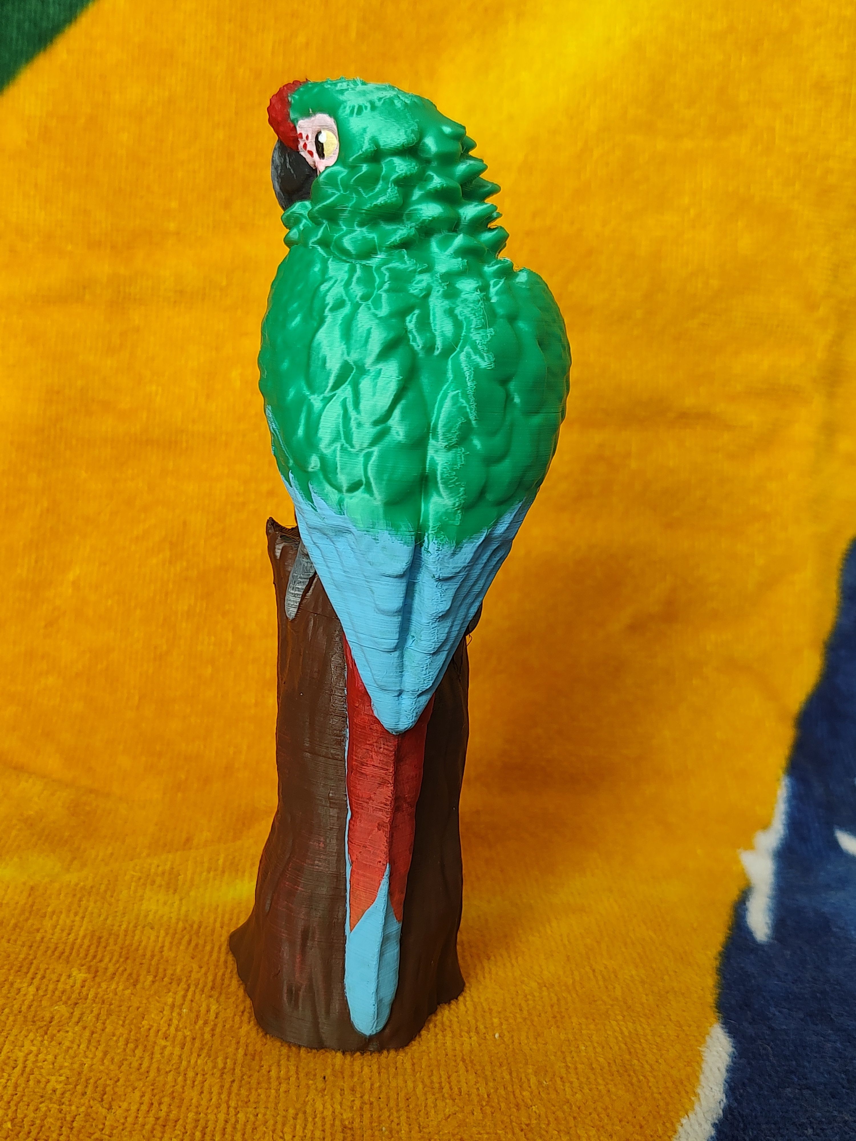 Military Macaw | 3D models download | Creality Cloud