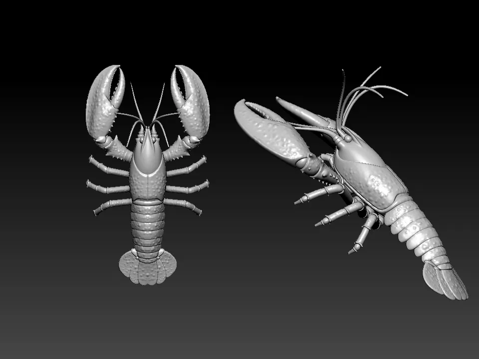 Characters & Creatures STL Download - Lobster - SEA LIFE MODEL - 3D ...