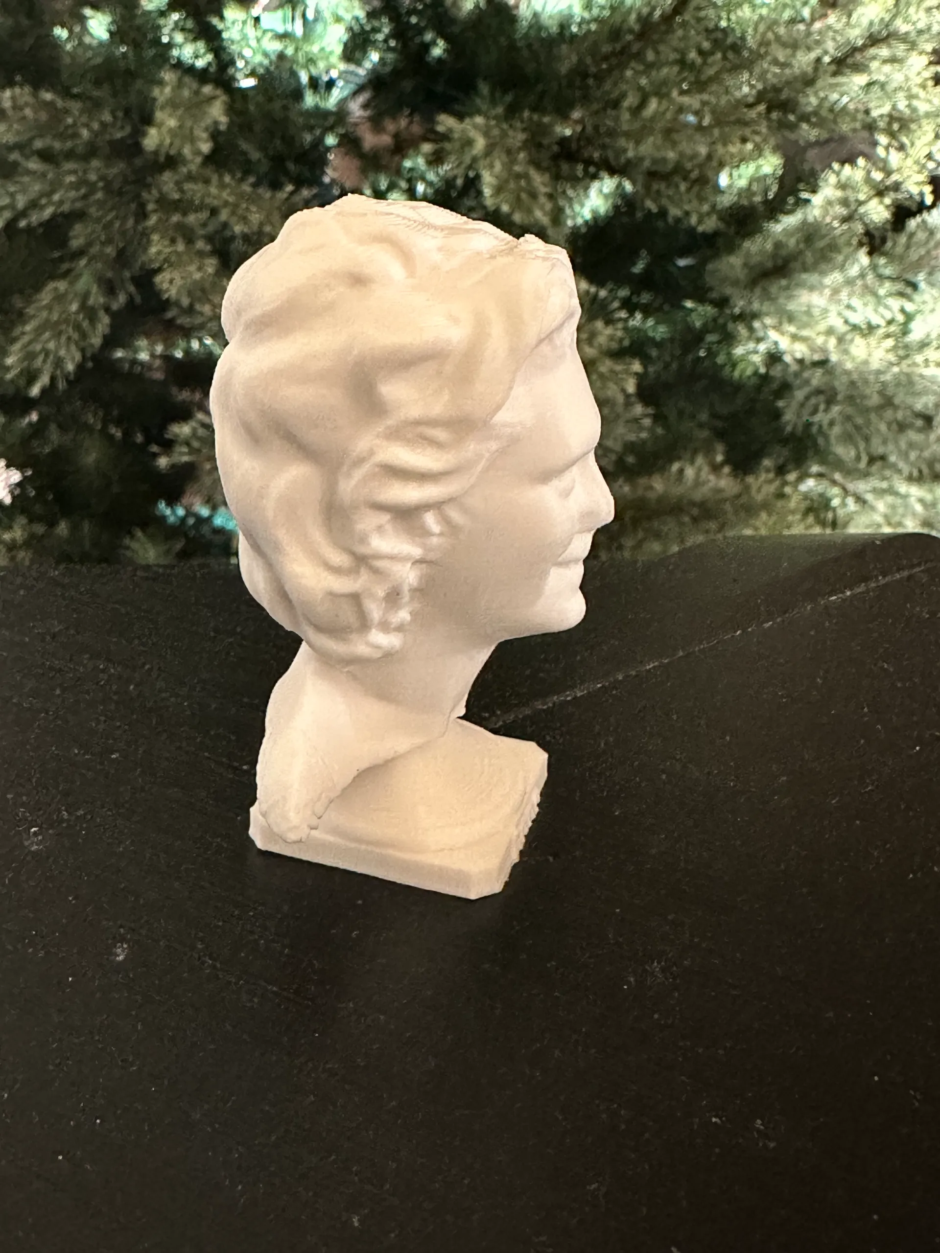 3D Printer Files | 3MF File | The Lady Anne Bust | Creality Cloud