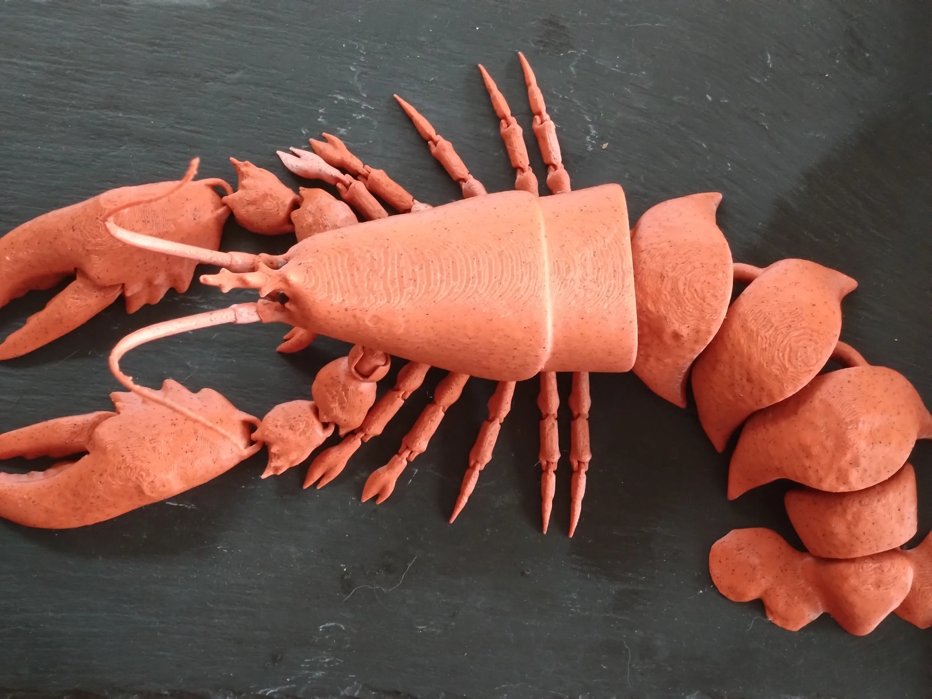 3D Printer Files | 3MF File | [EXCLUSIVE] The Lobster Toy Creation Kit ...
