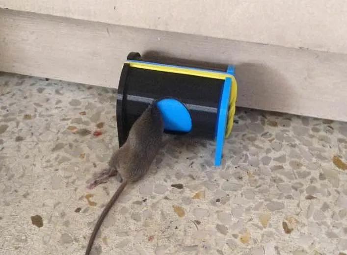 3D Printer Files | 3MF File | Sliding Tube Mouse Trap | Creality Cloud