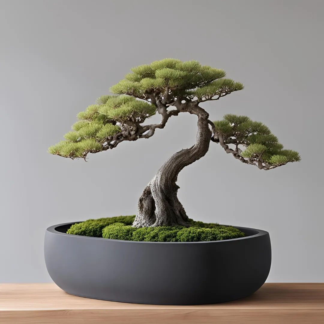 Home Decorations & Ornaments STL Download - Round Bonsai Pot – Elegant ...