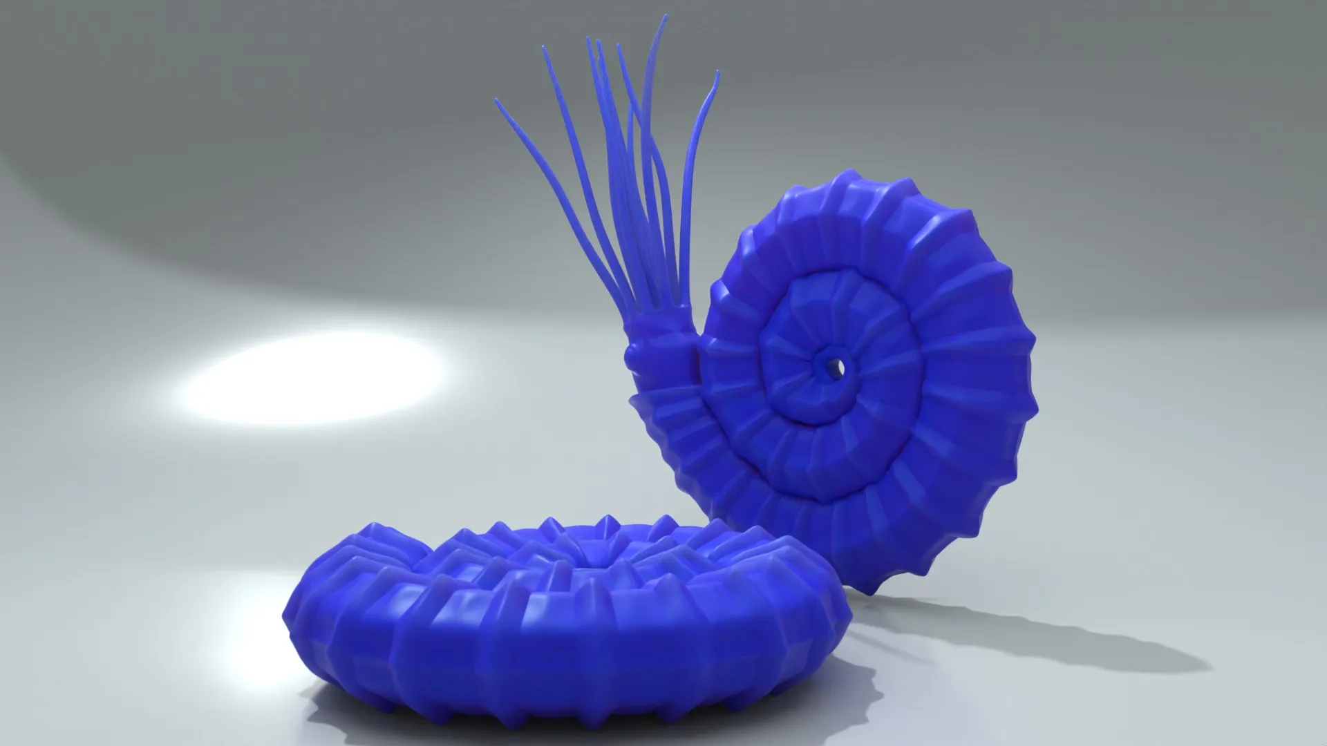 Characters & Creatures STL Download - Ammonite - Ammonoids printby arti4077