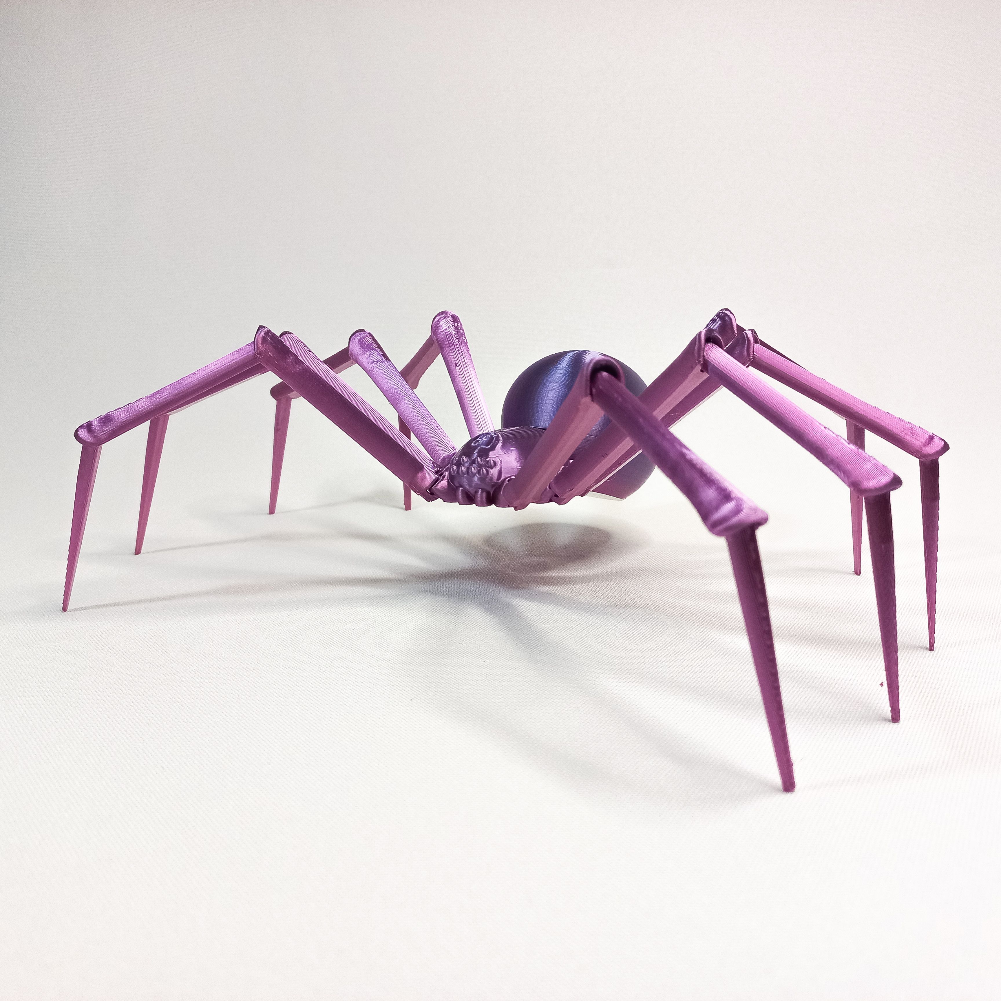 BLACK WIDOW SPIDER | 3D models download | Creality Cloud