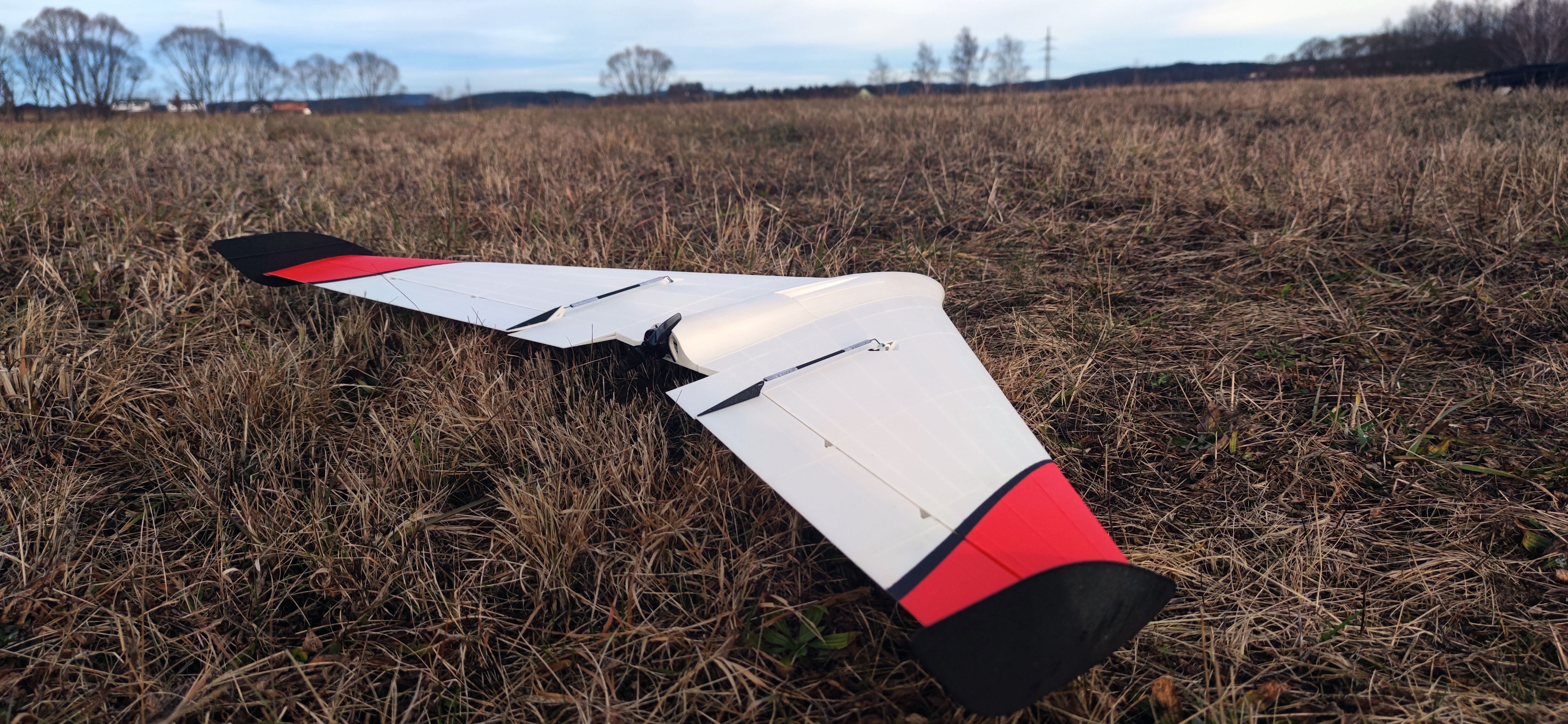 DUCK delta wing | 3D models download | Creality Cloud