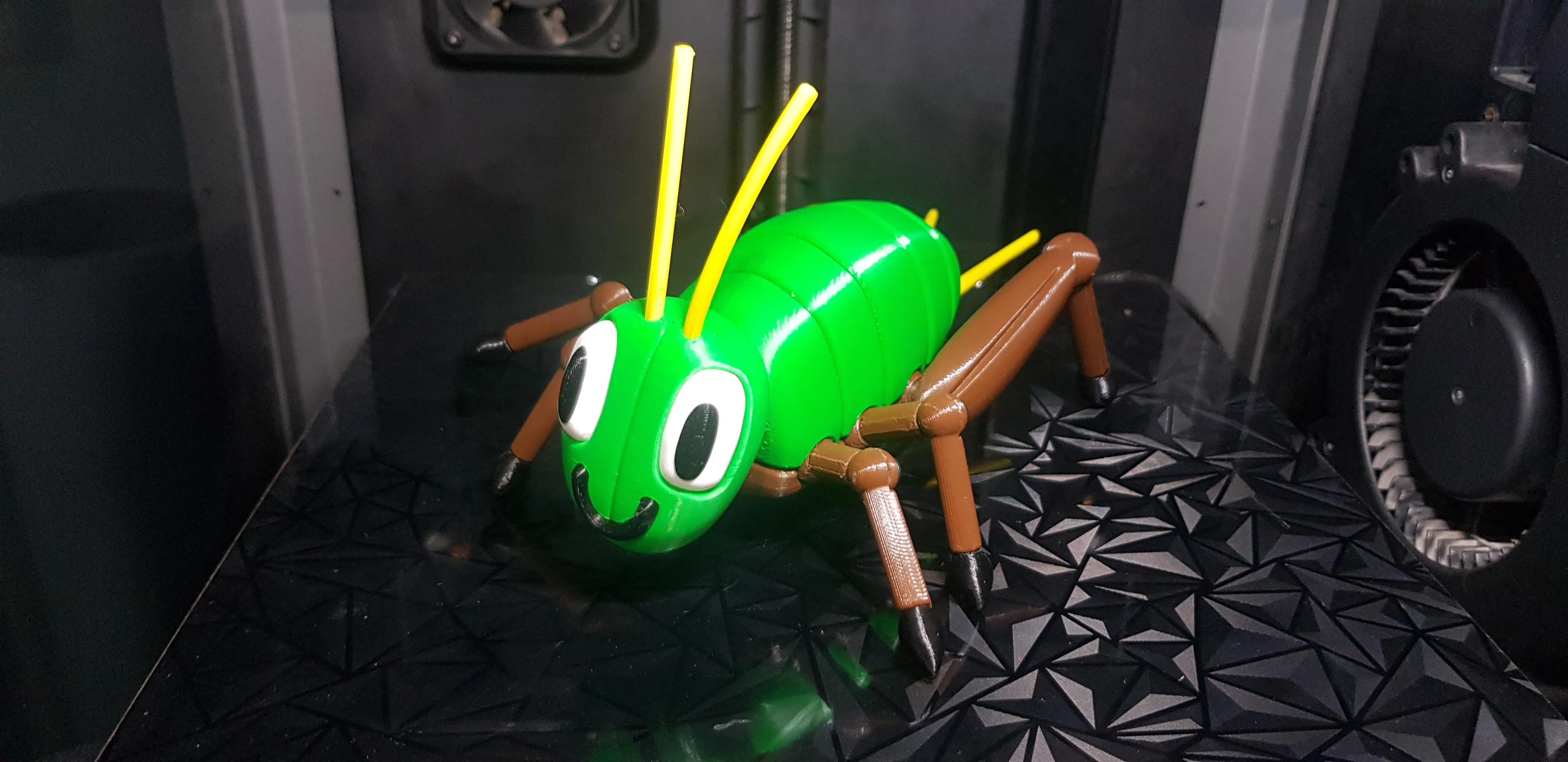 Hey guys! Have you seen my new models from the "CUTE BUGS" collection? They are ador