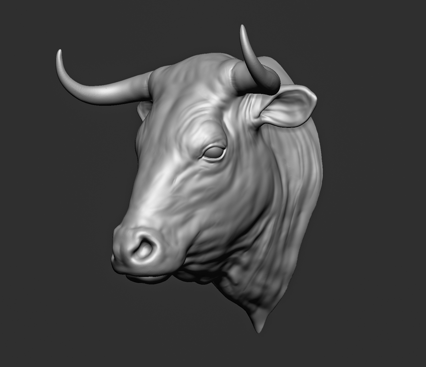 Bull head | 3D models download | Creality Cloud