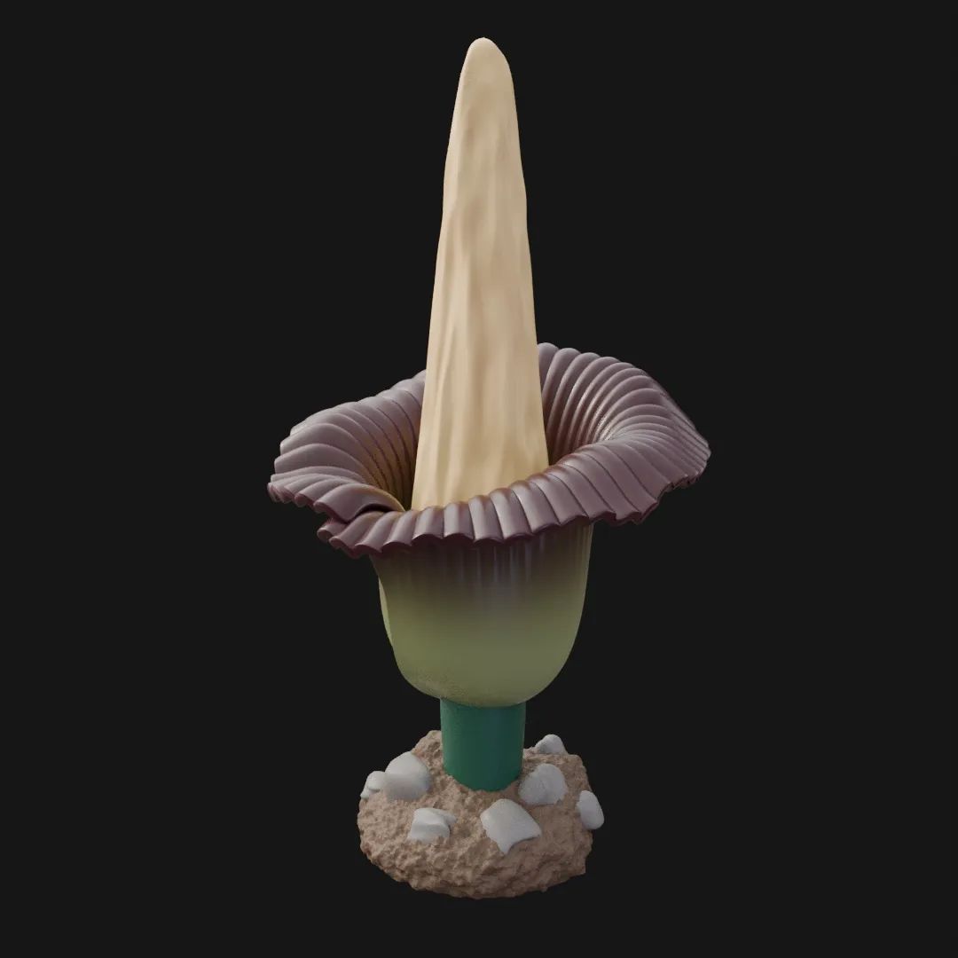 Props & Terrain STL Download - The Titan Arum Flower 3D model (Bunga ...