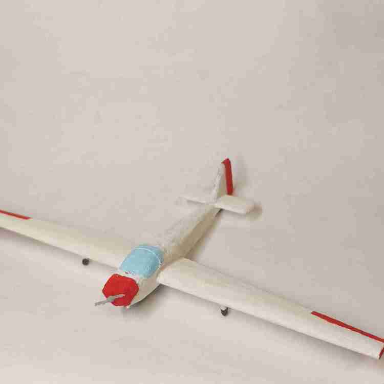 Scheibe SF-25 Falke plane model 3D print model